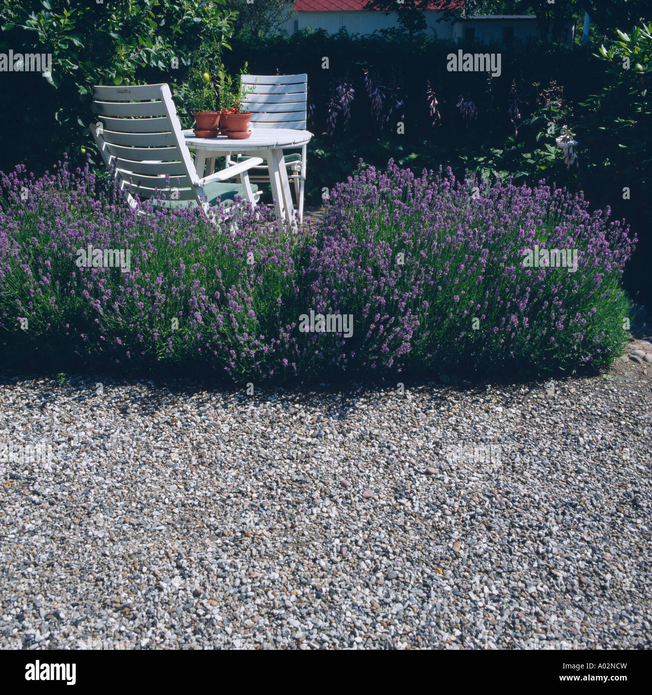Shady corner hi-res stock photography and images - Alamy