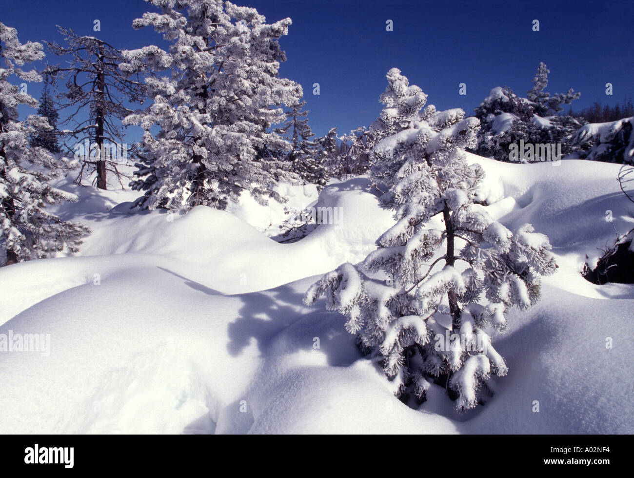Yellowstone travel poster hi-res stock photography and images - Alamy