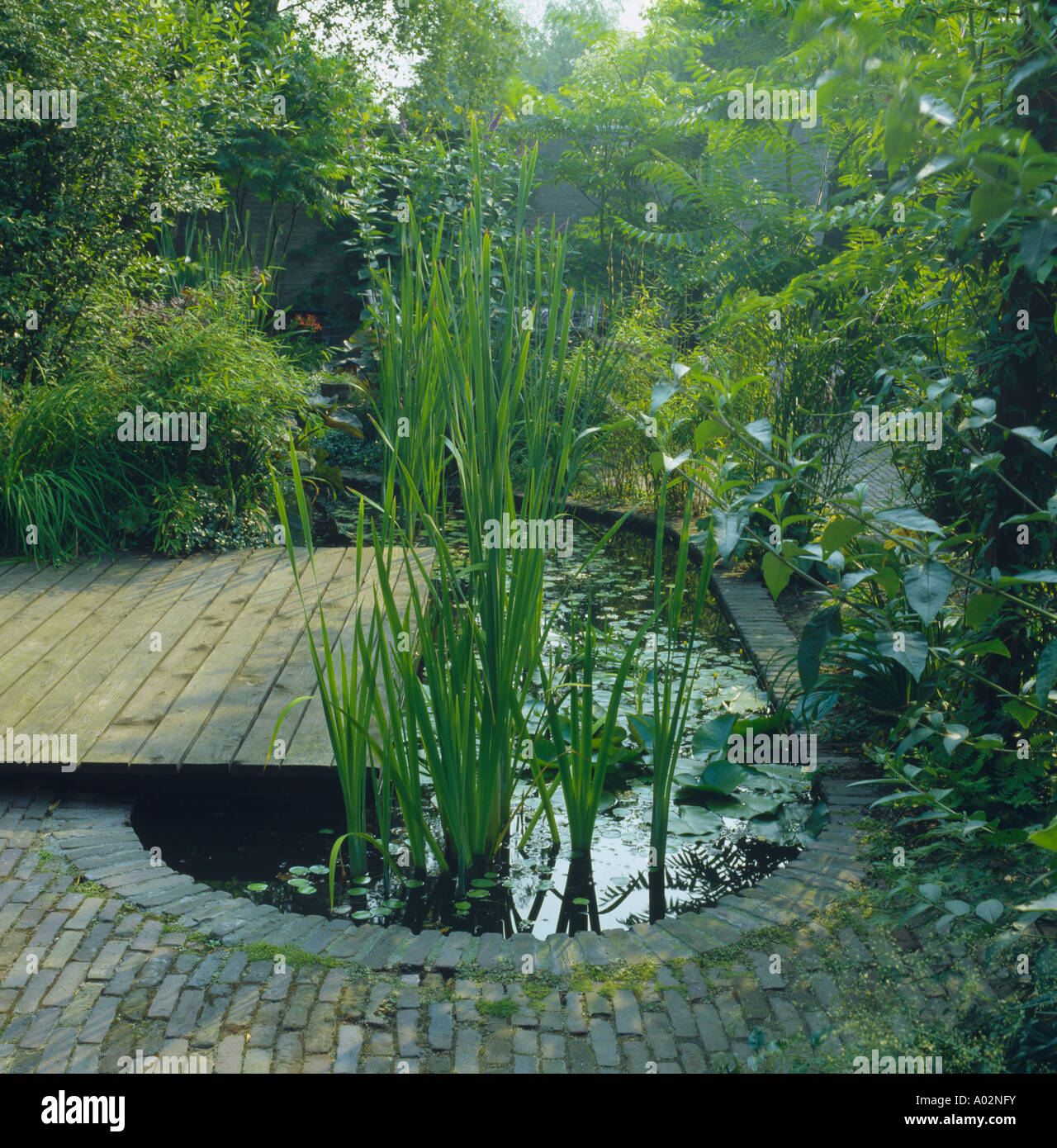 Garden pond decking in garden hi-res stock photography and images - Alamy
