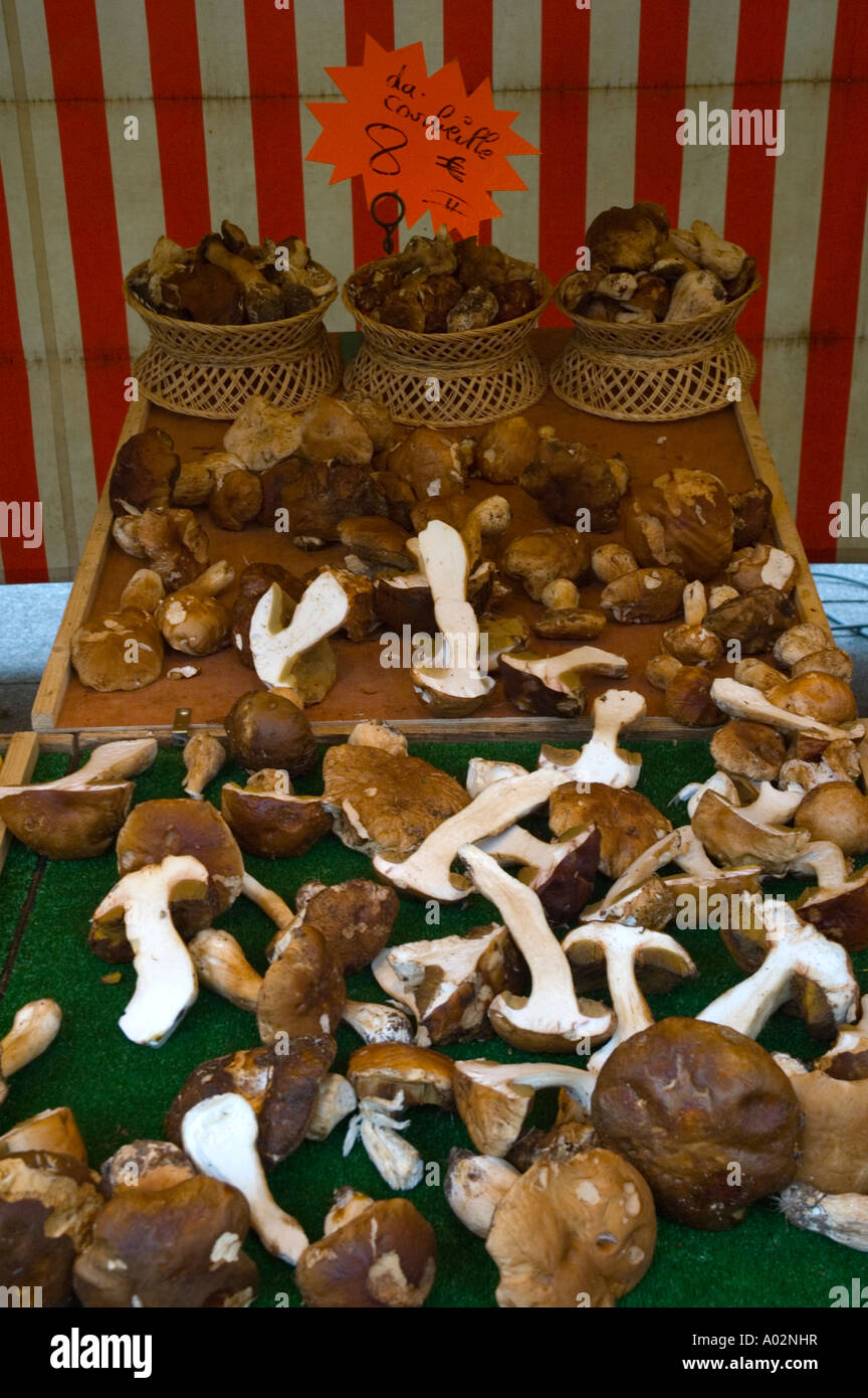Parisian mushroom hi-res stock photography and images - Alamy
