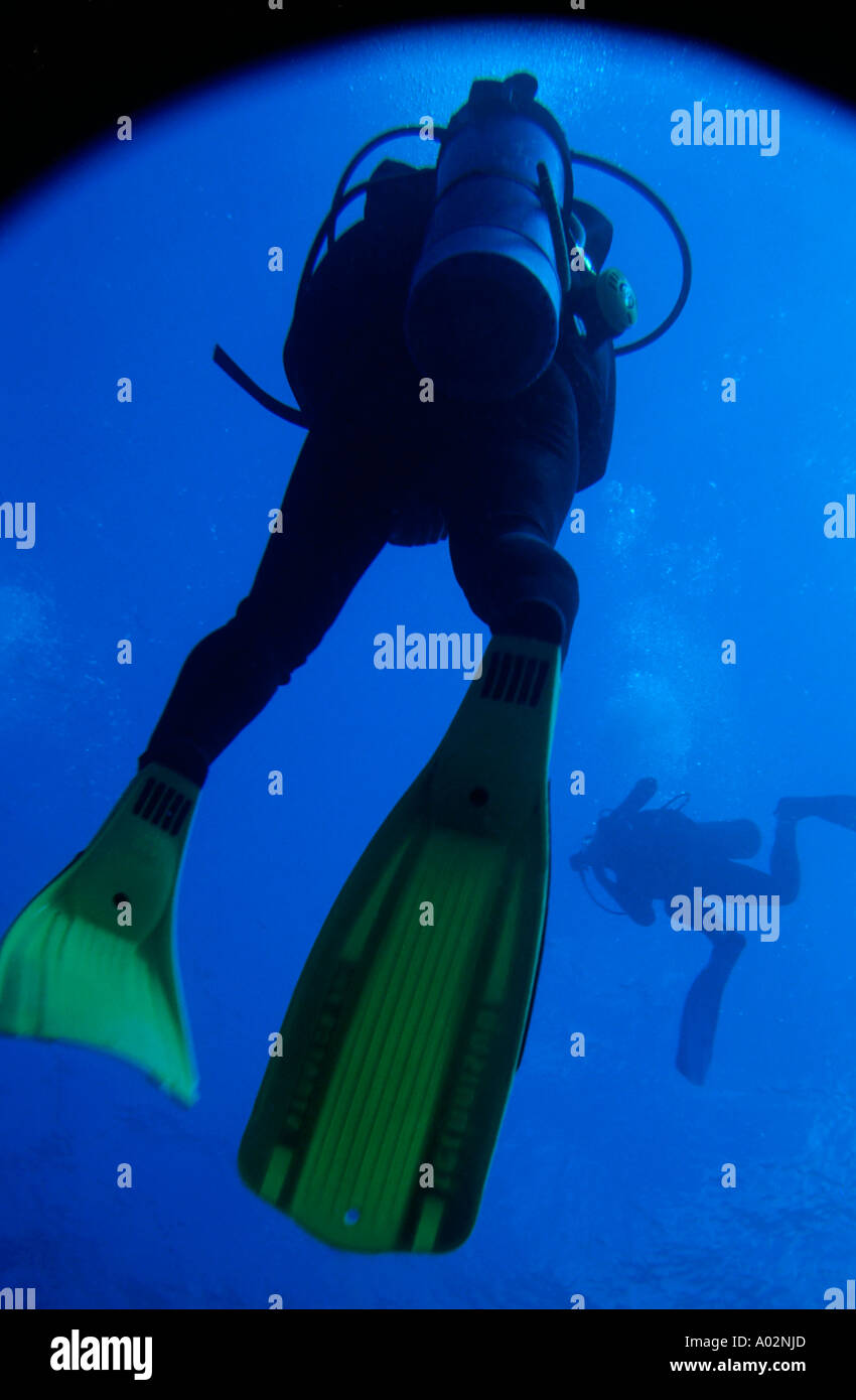 Two scuba divers swimming around Cathedral Dive Spot, Pango Point ...