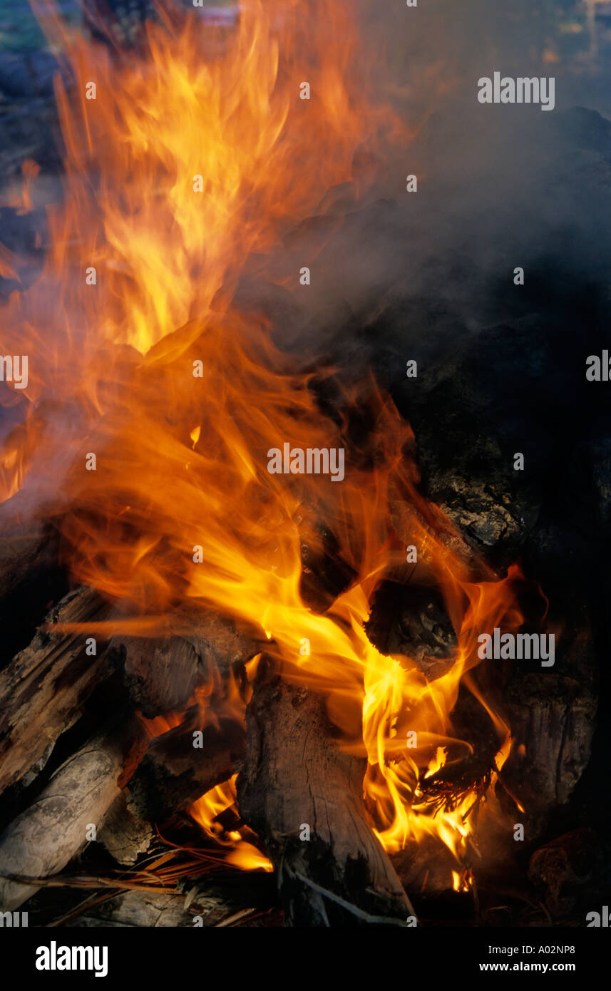 Vanuatu's national dish 'laplap' cooking over the open flames of a ...