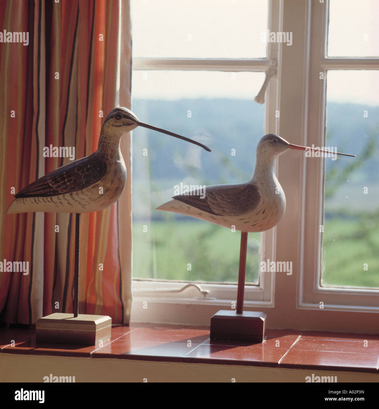 Decoy birds hi-res stock photography and images - Alamy