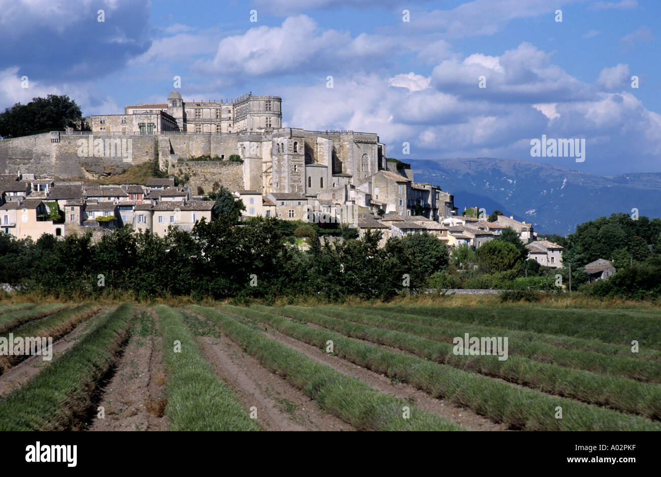 Grignan castle provence hi-res stock photography and images - Alamy