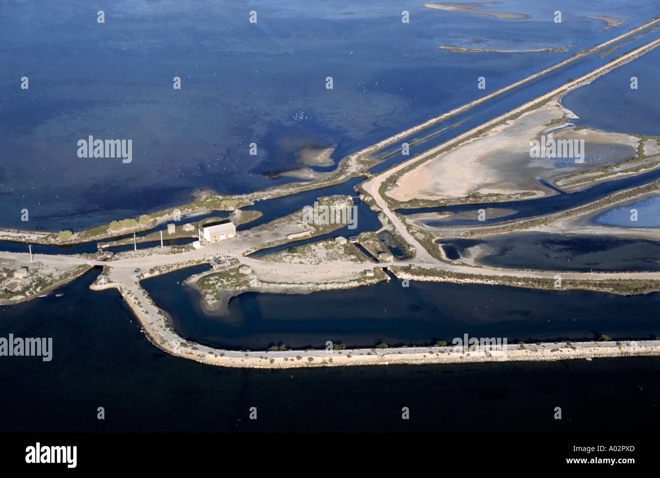 Roads On Dikes In A Pond Stock Photo - Alamy