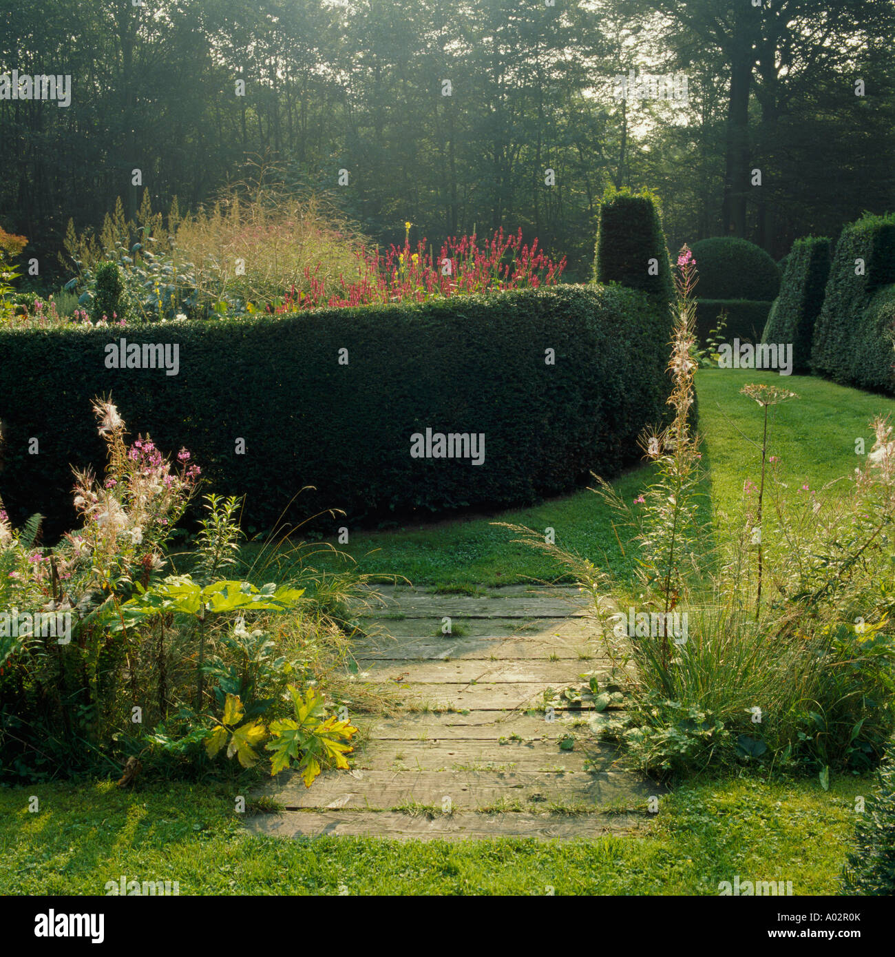 Small clipped hedge hi-res stock photography and images - Alamy