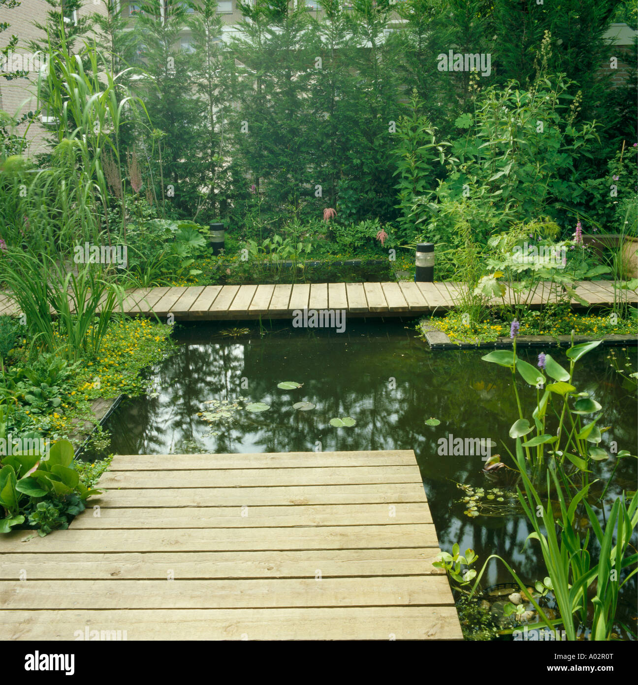 Grasses planted around pond with decking in town garden Stock Photo - Alamy