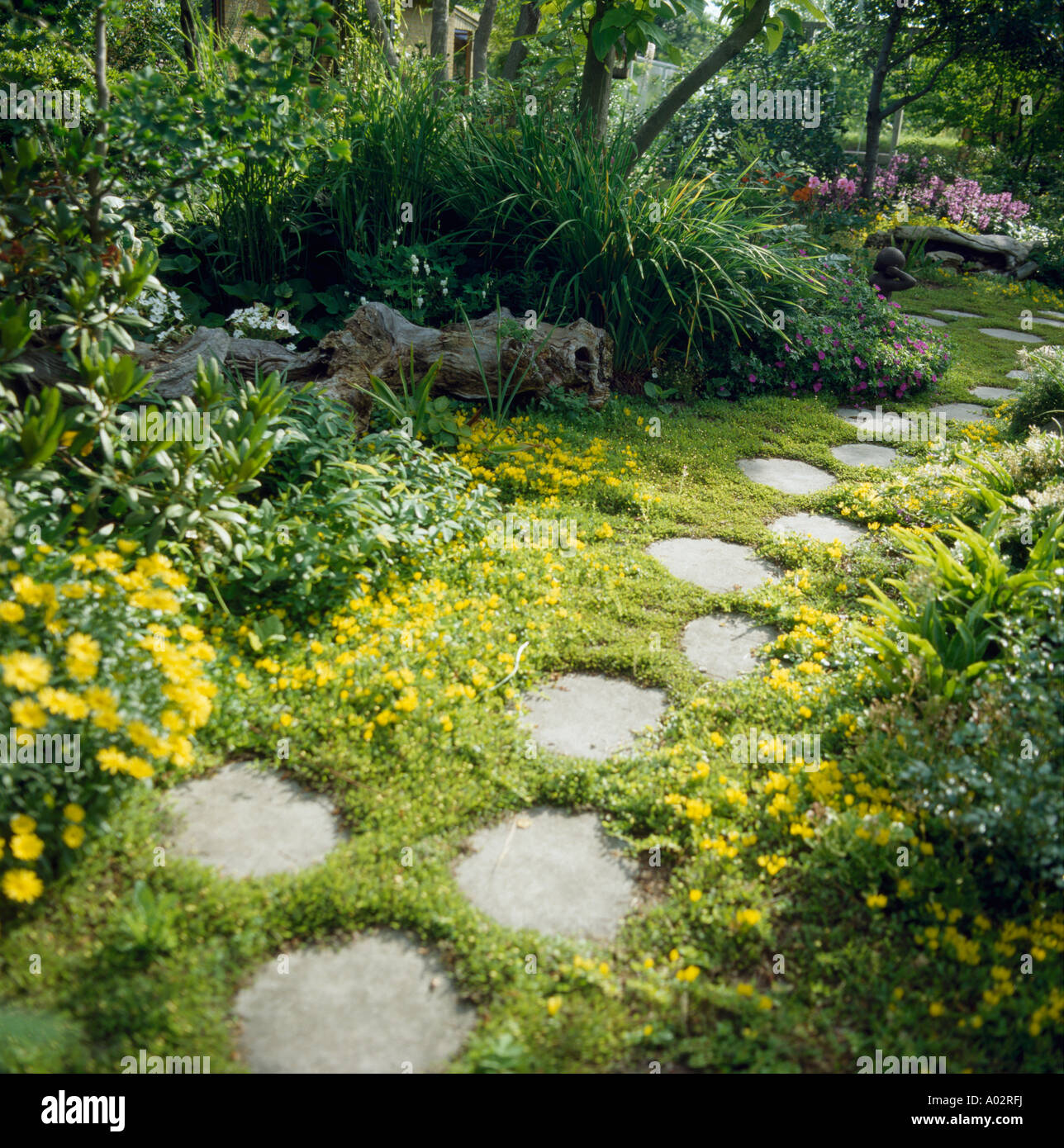 Underplanting tree hi-res stock photography and images - Alamy