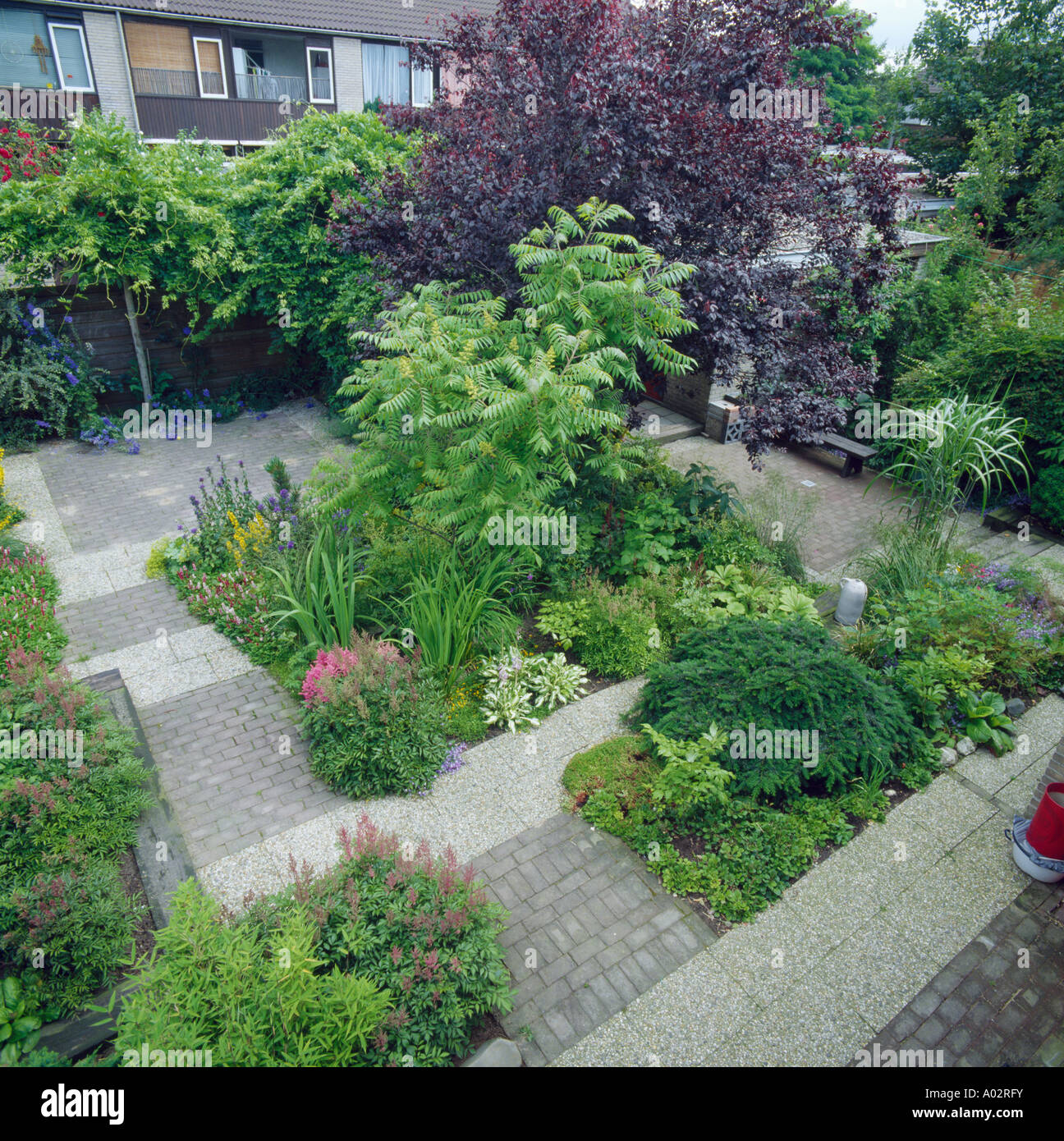 Rectangular beds with shrubs and perennials in formal paved area in ...