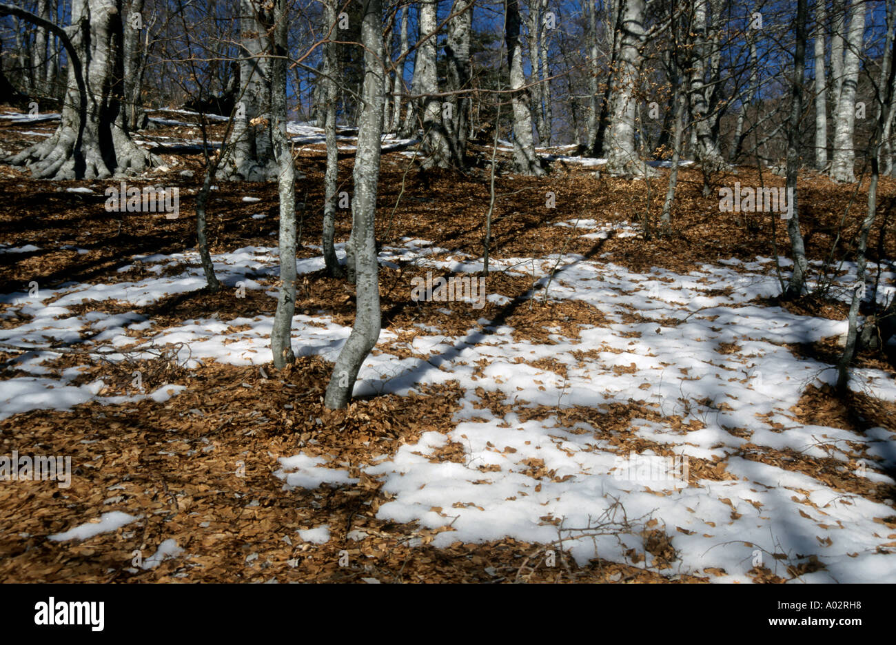 Lure mountain france hi-res stock photography and images - Alamy