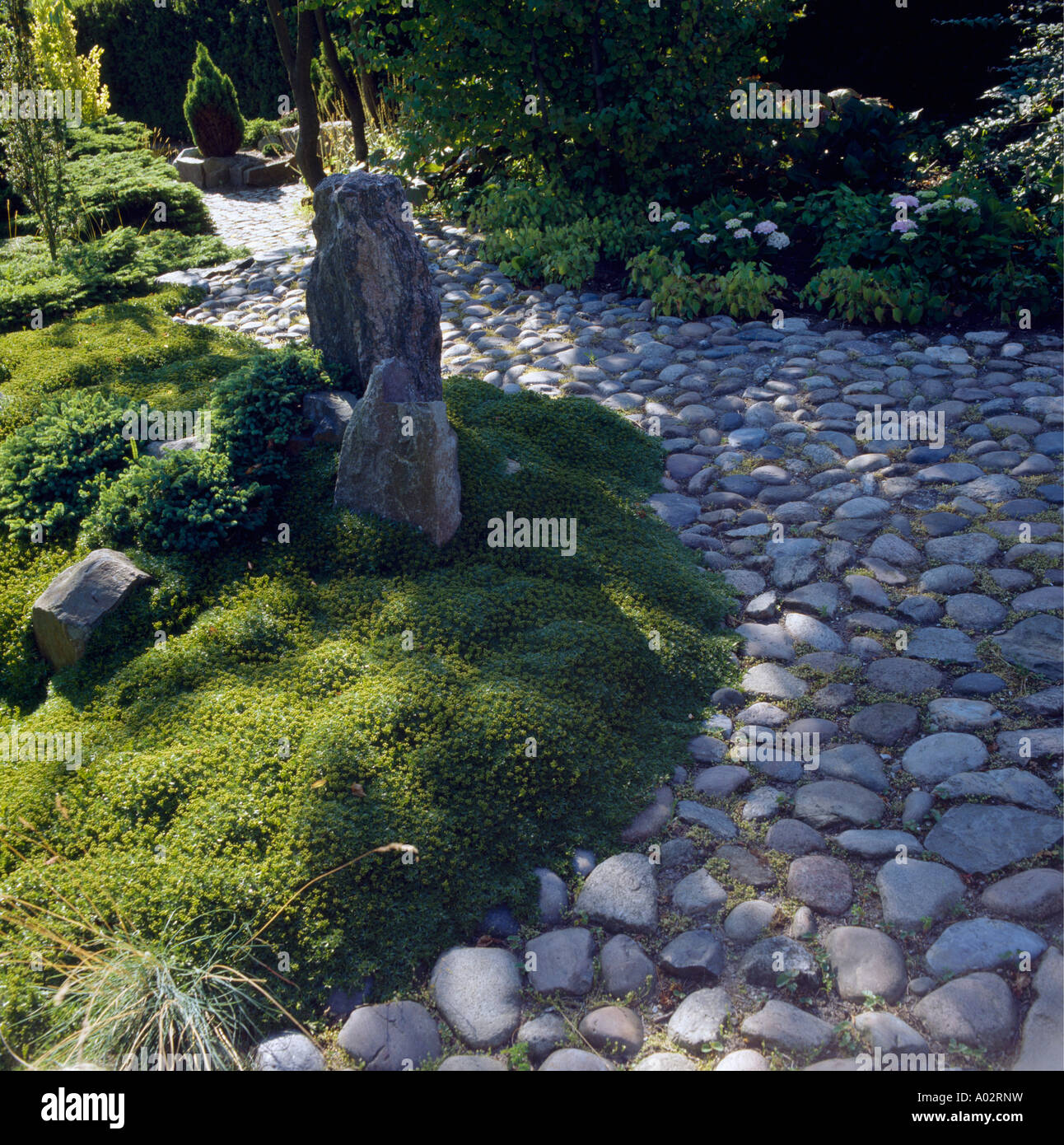 Pebble groundcover hi-res stock photography and images - Alamy