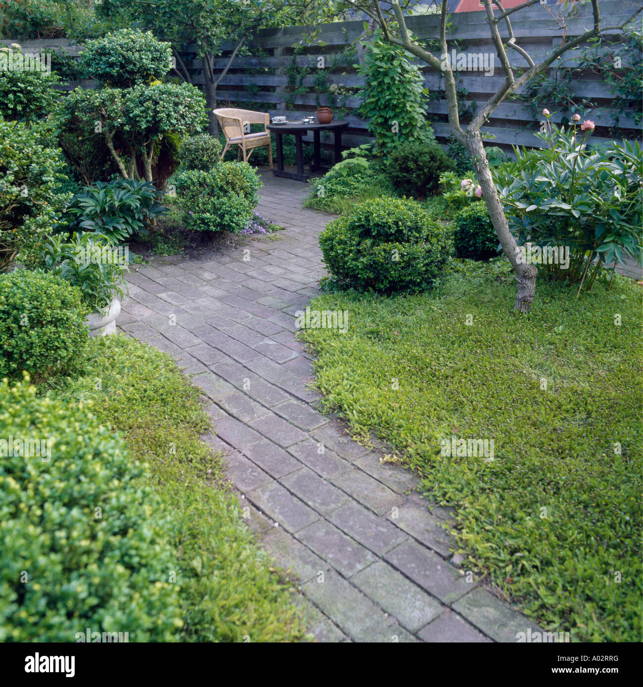 Ground cover beside paved path leading to topiary and patio in well ...