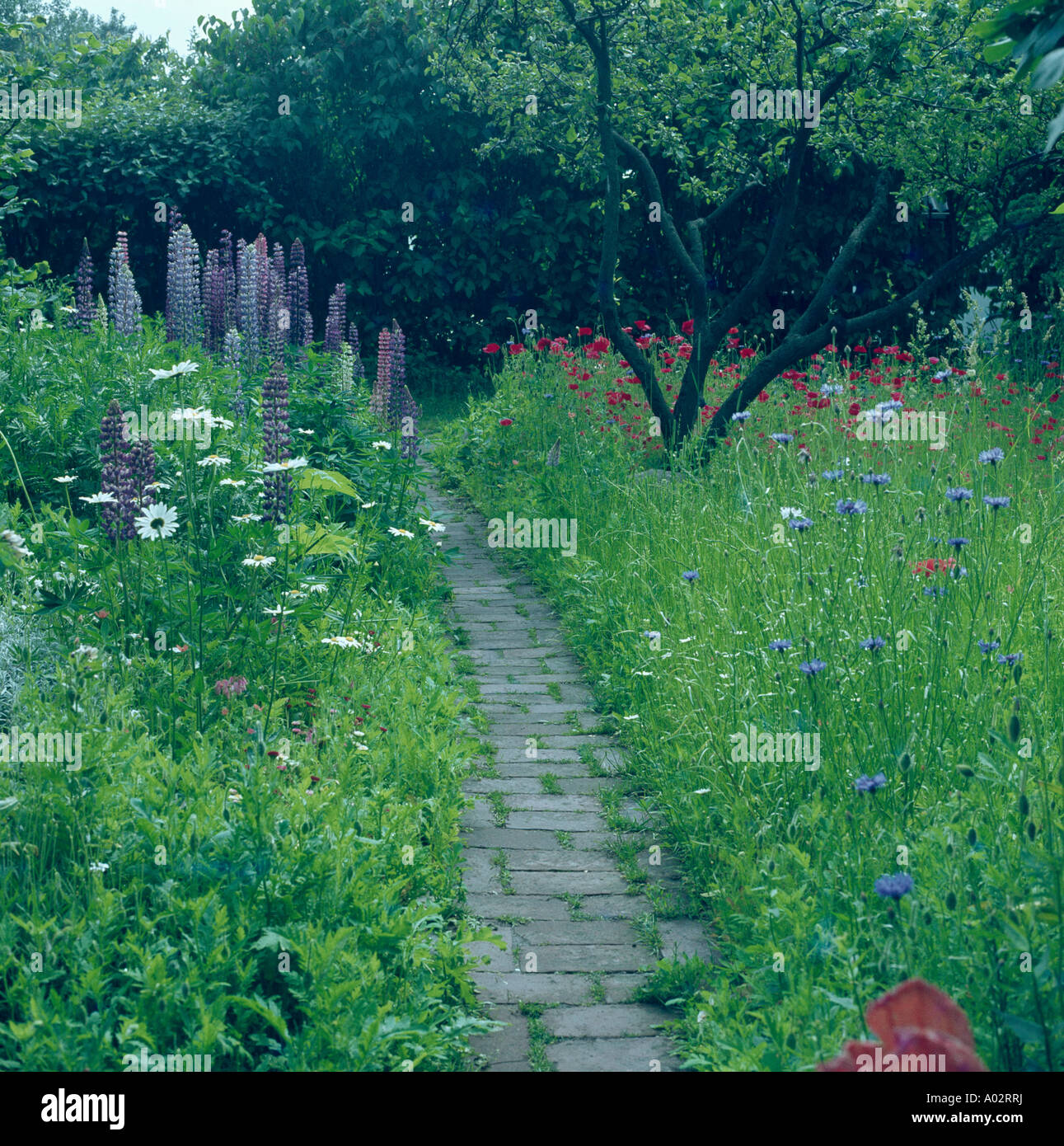 Narrow borders hi-res stock photography and images - Alamy