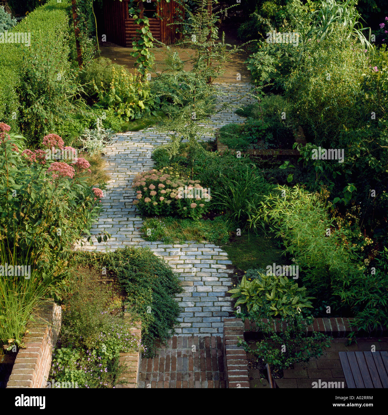 Bird-eye view of paved path winding through shrubs and trees in borders ...