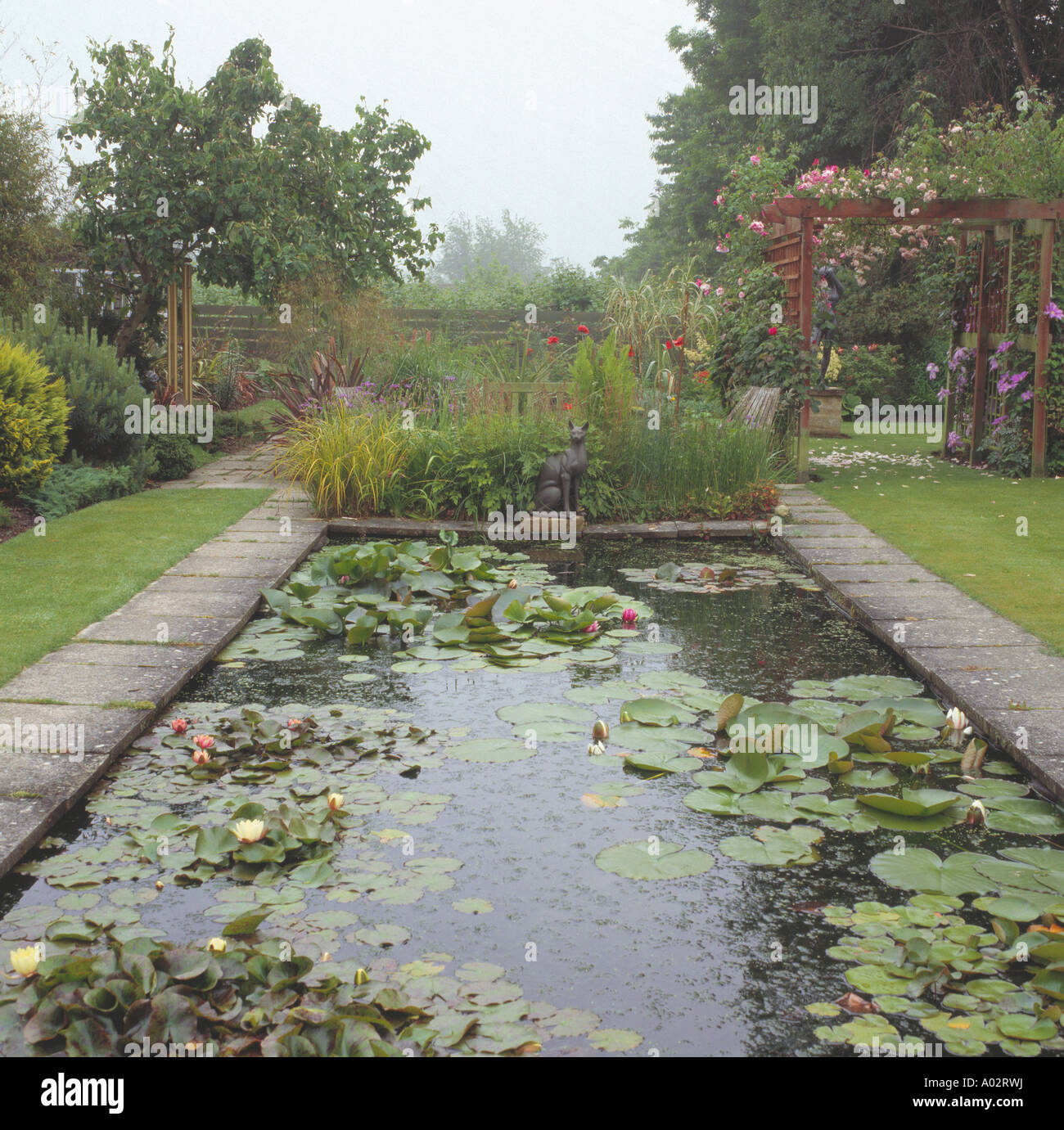 Rectangular pool with Nymphaea in large country garden Stock Photo - Alamy