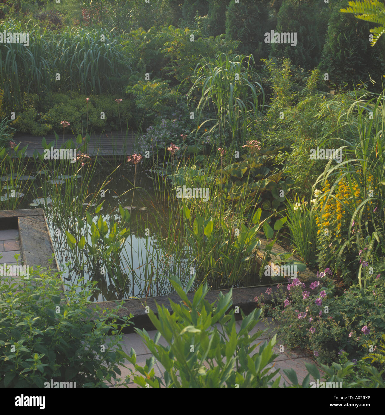 Planted all around hi-res stock photography and images - Alamy