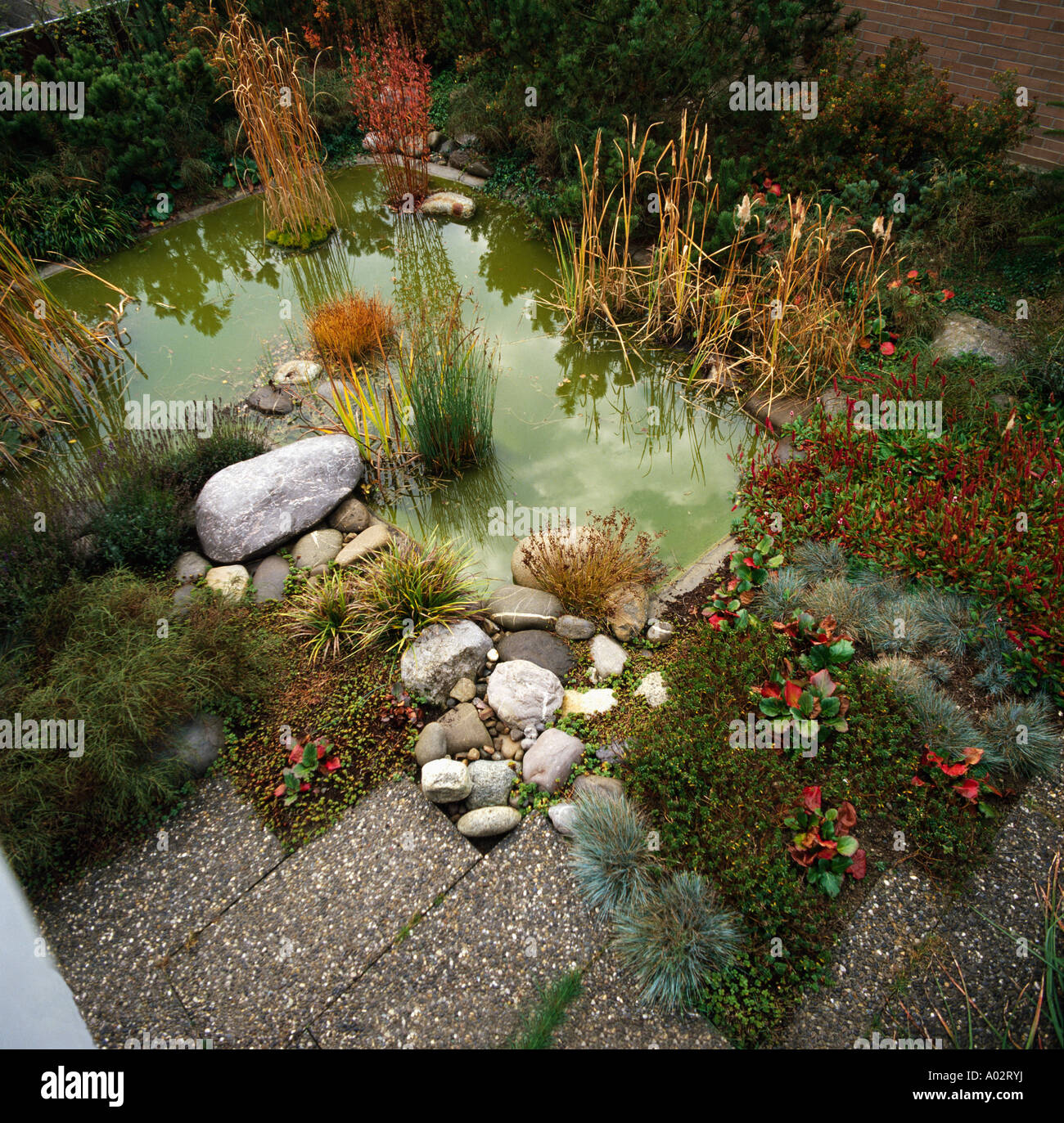 Aerial view of garden pond with grasses and large stones at the edge ...