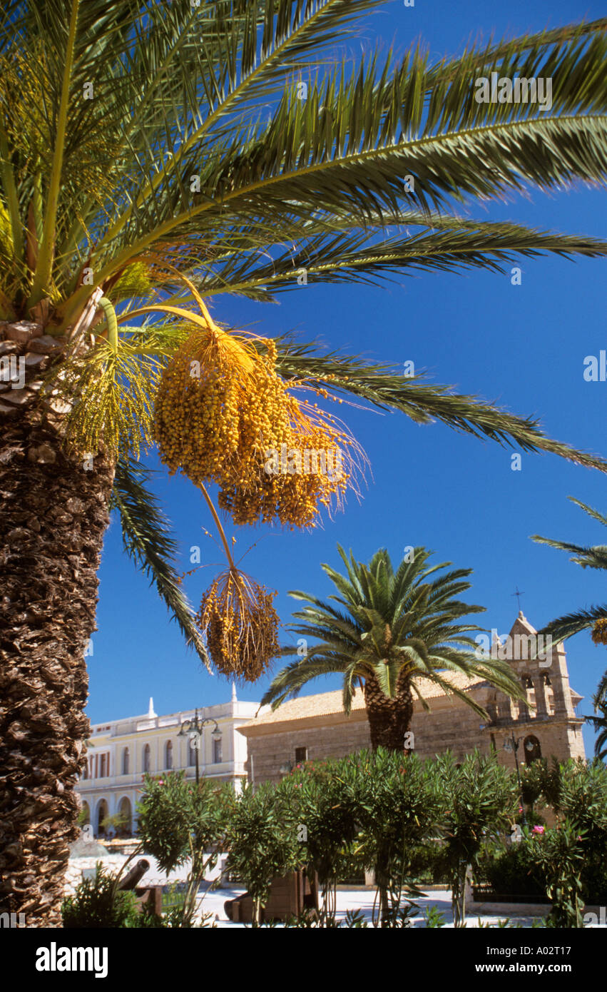 Date palm Crete Stock Photo - Alamy