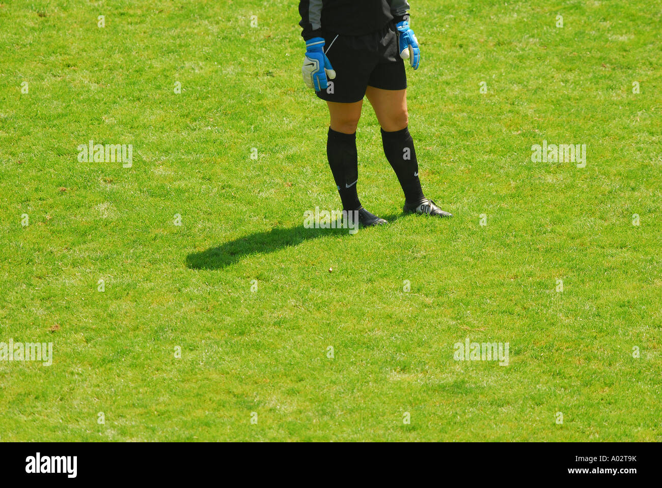Soccer Football Goalkeeper waits for action on field Stock Photo - Alamy