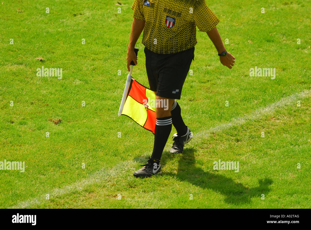 A Soccer Football Line Referee with flag on field Stock Photo - Alamy