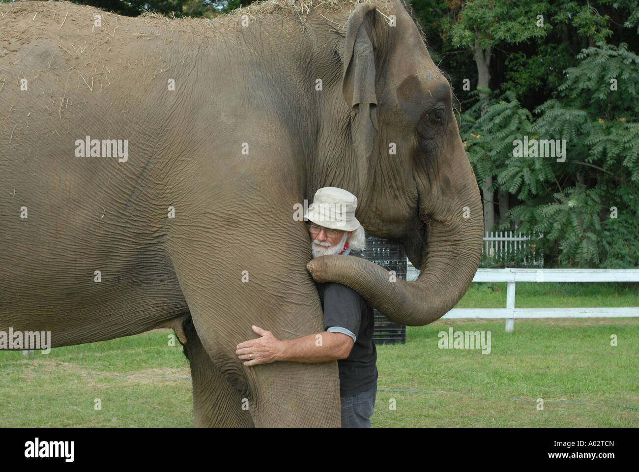 An animal trainer gets a hug from his elephant as he prepares for a ...