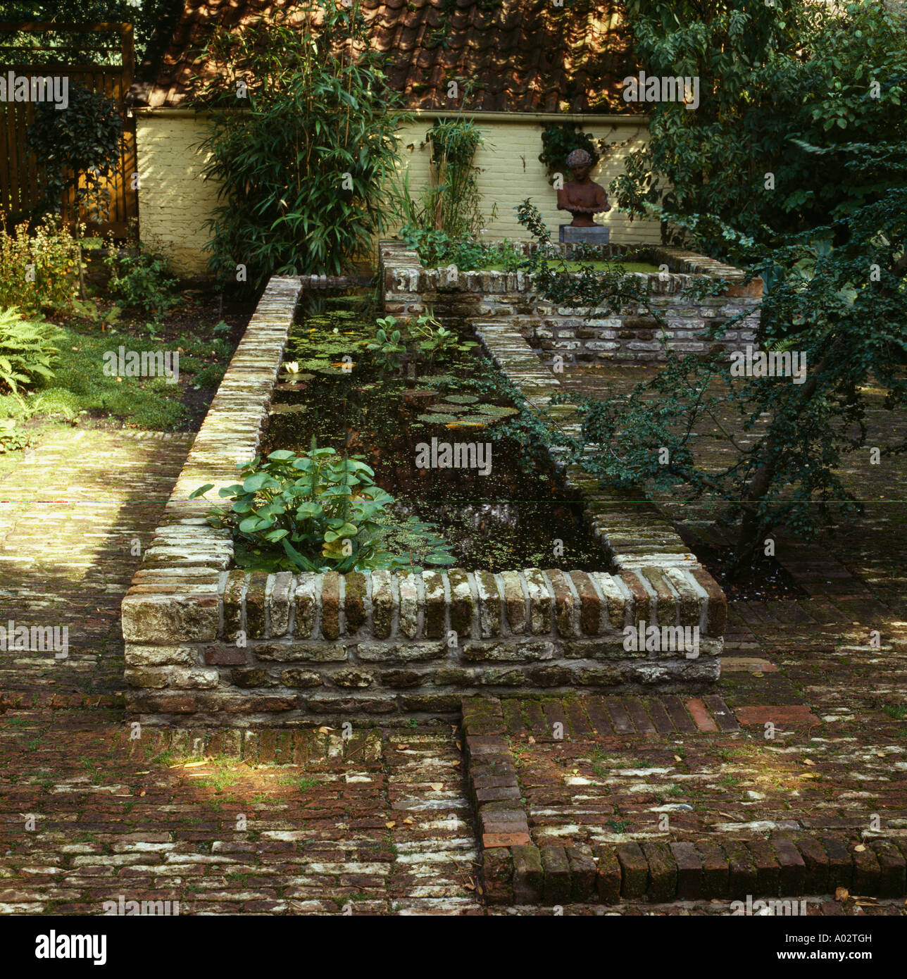 Raised brick edged rectangular pond in shady courtyard Stock Photo - Alamy