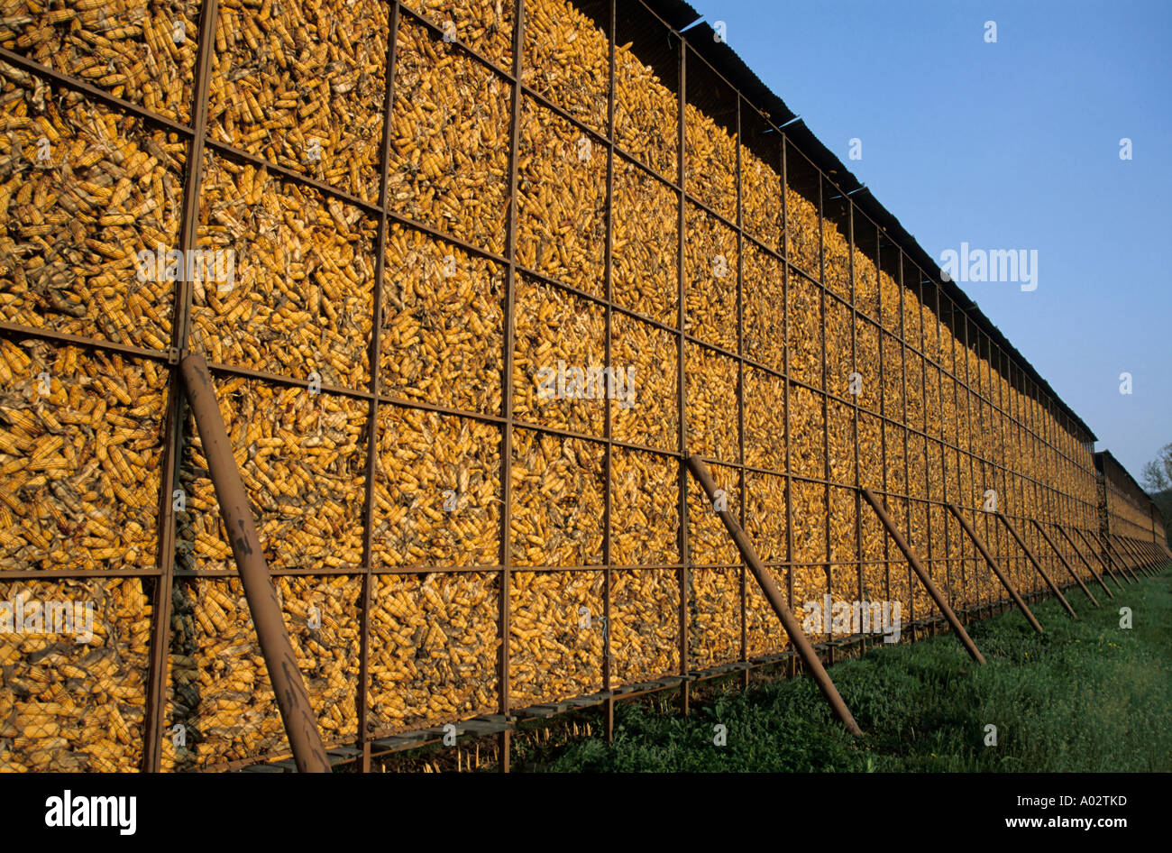 Cages of drying corn on a farm in Isère, France Stock Photo - Alamy