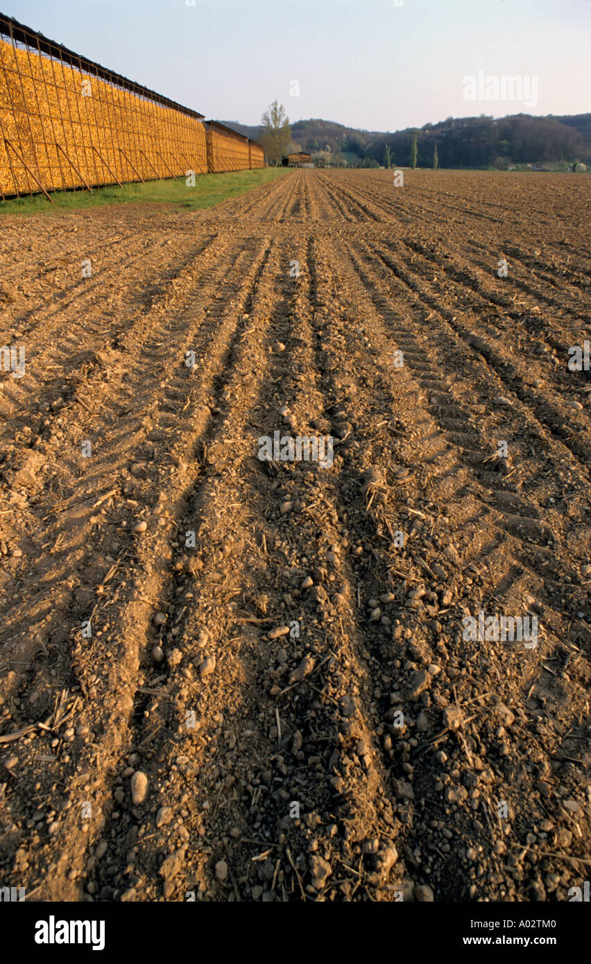 France Isere Cages Of Drying Corn At The End Of A Harvested Field Stock ...
