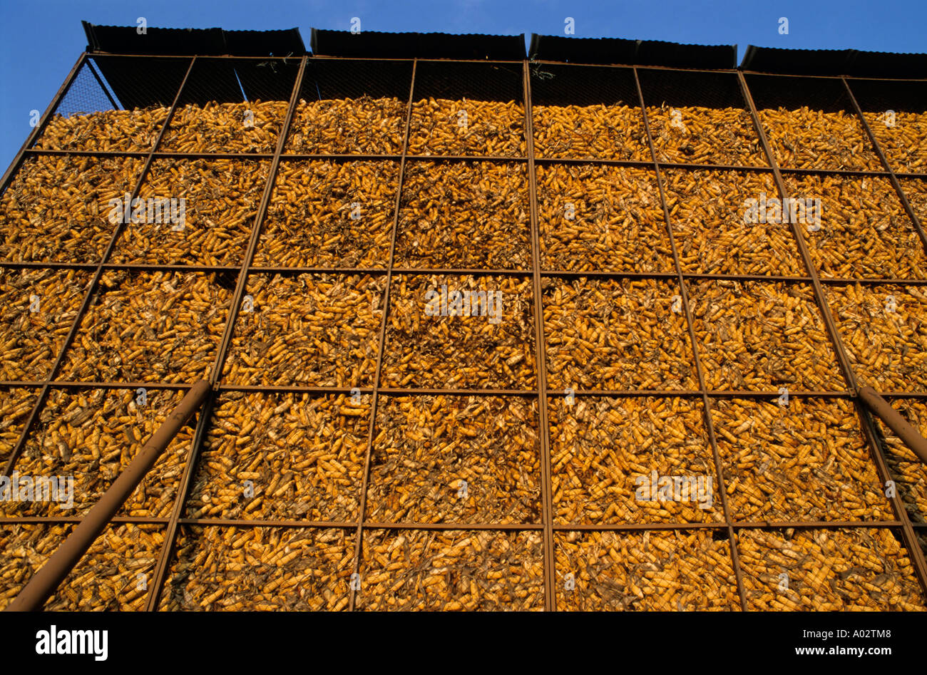 Lds301 hi-res stock photography and images - Alamy