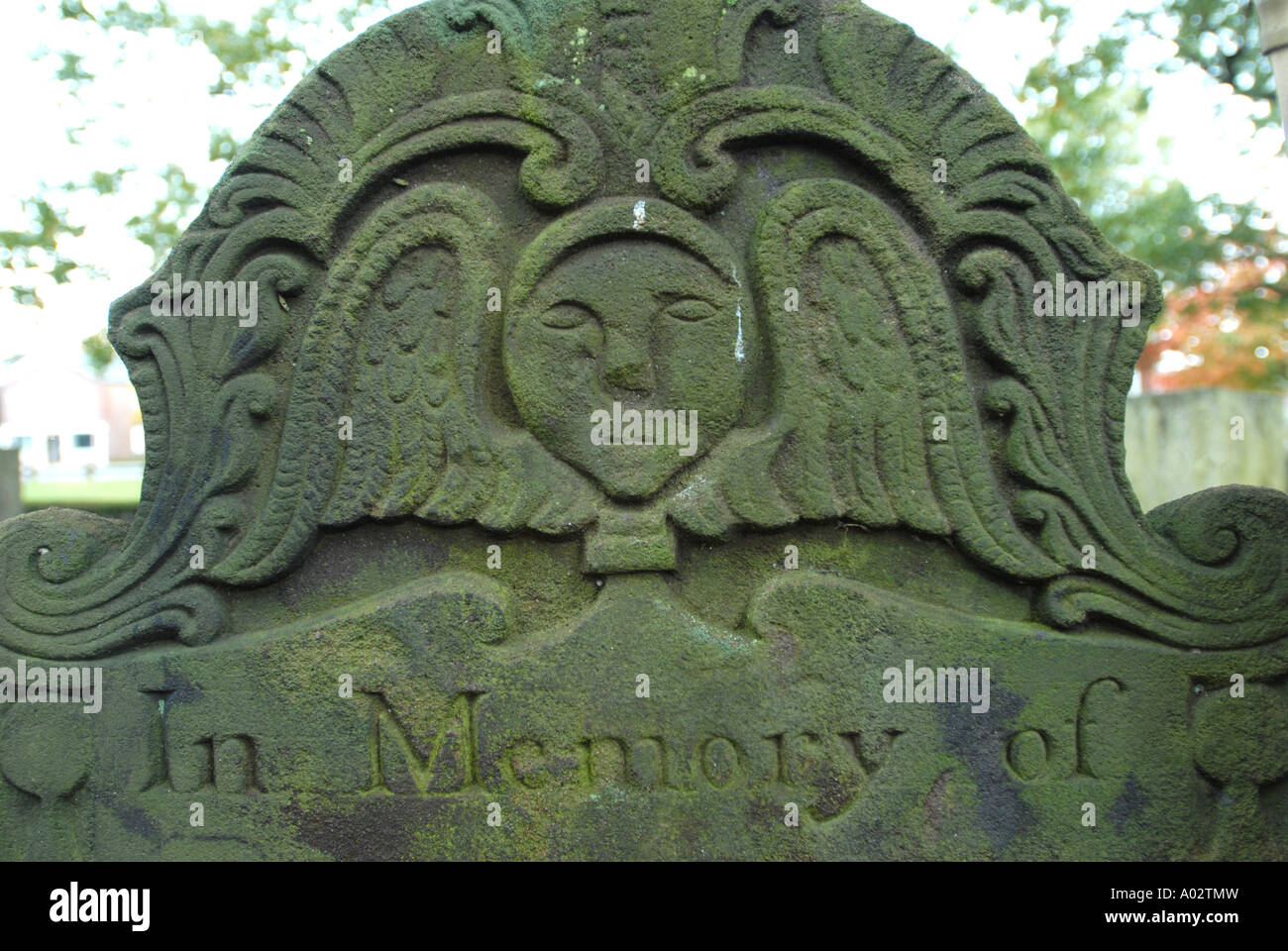 Death angel face hi-res stock photography and images - Alamy