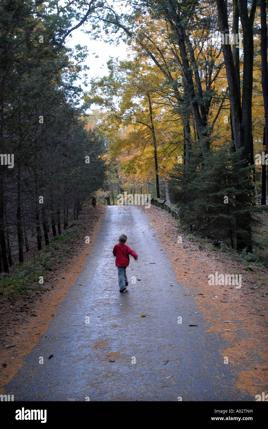 Small boy running on roadway in forest Stock Photo - Alamy