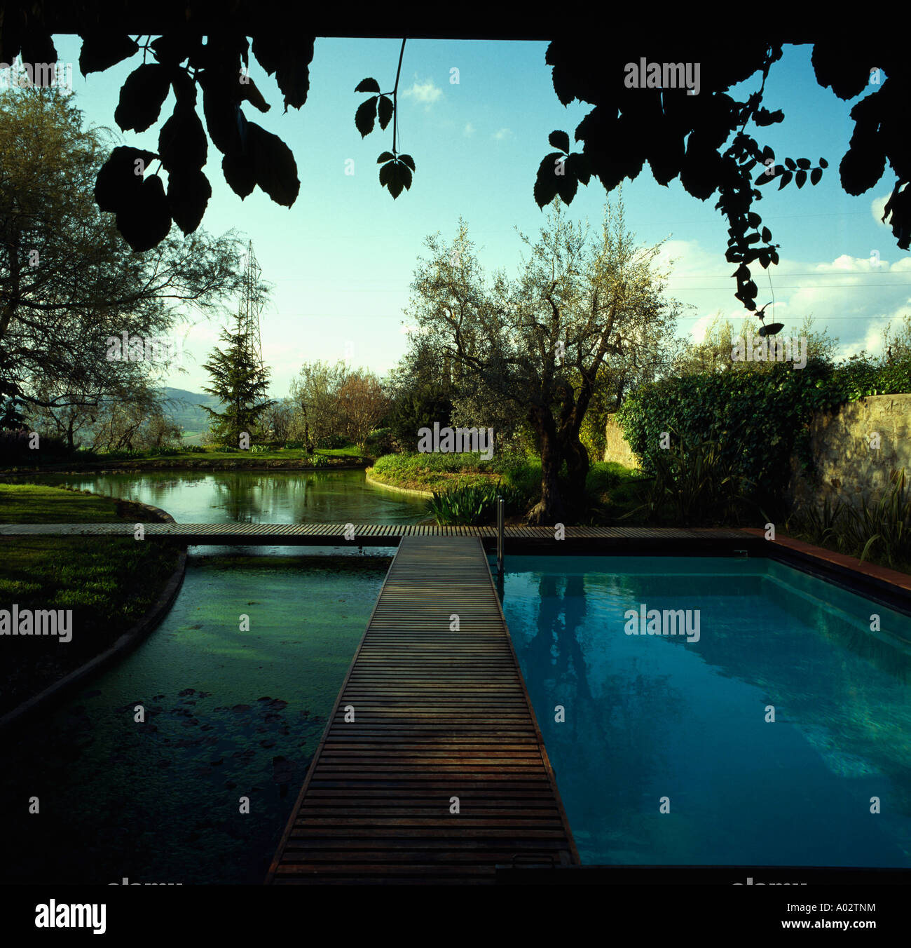 Decking path over rectangular pools in Italian country garden Stock ...