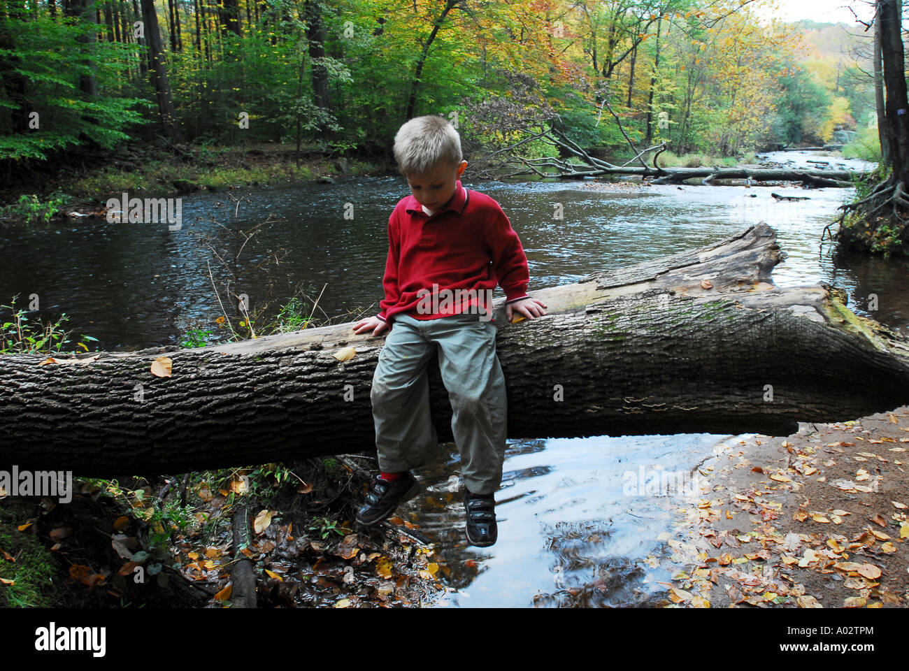 Small Boy sitting on log along river exploring nature Stock Photo - Alamy