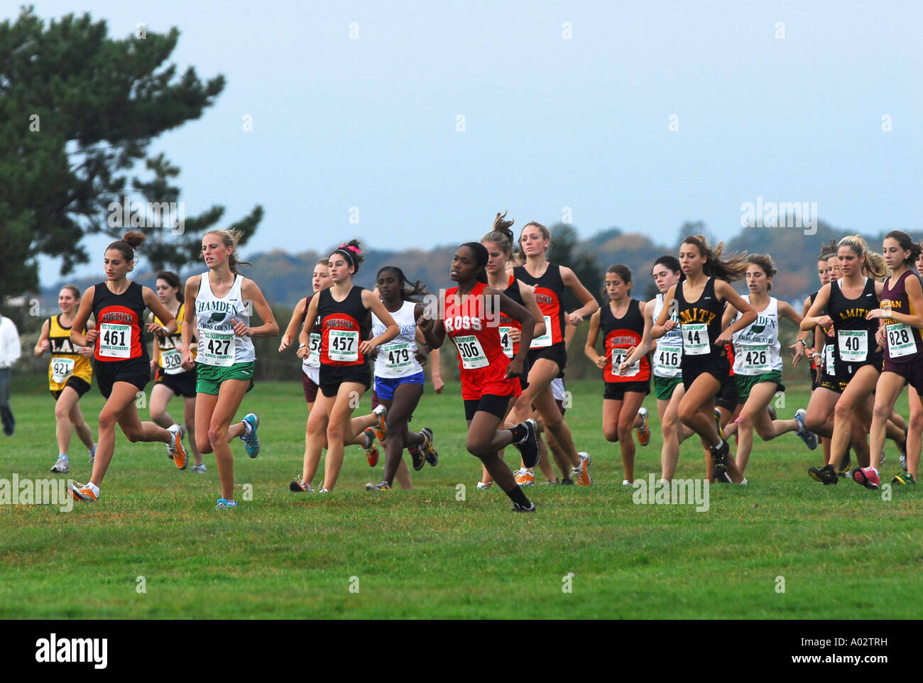 A Pack of female Runners at a High School Cross Country Meet Stock ...