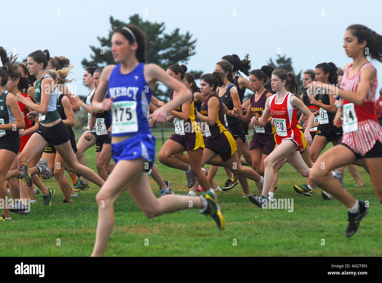 A Pack of female Runners at a High School Cross Country Meet Stock ...