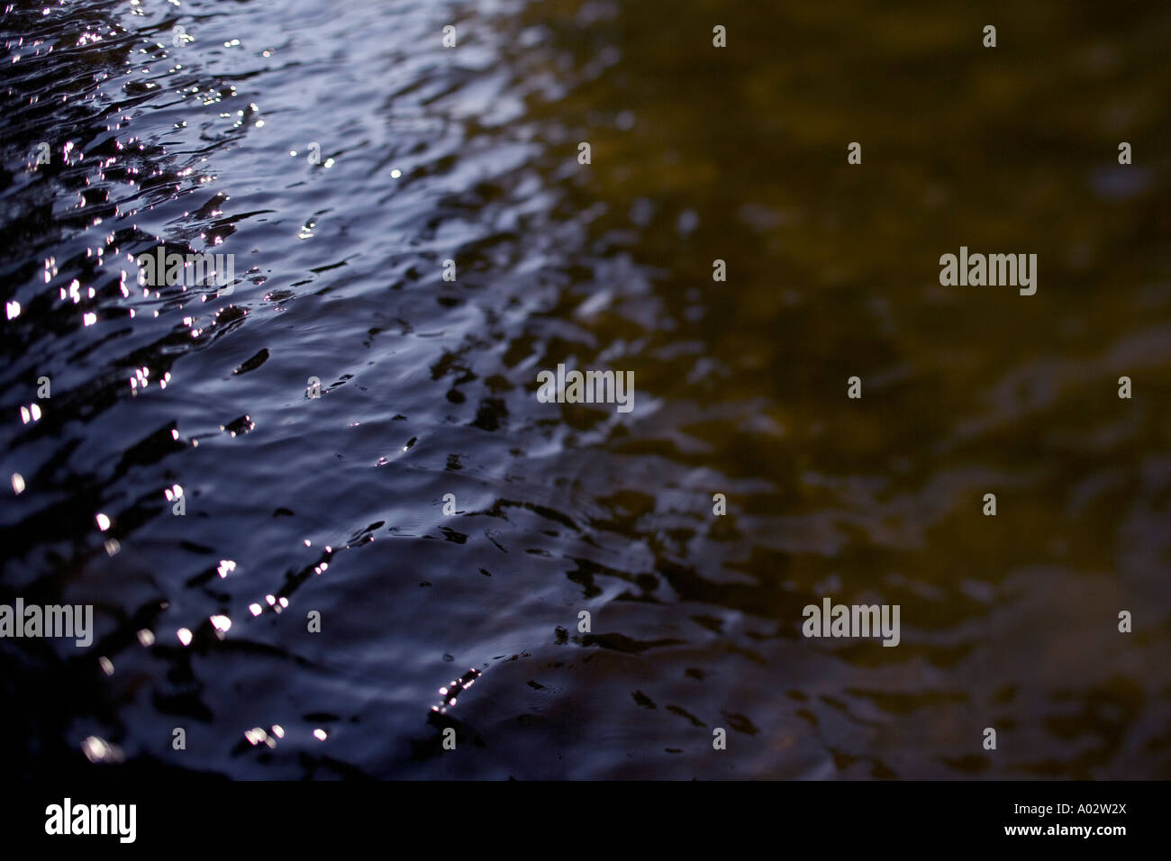 Water in a Pond fresh clean water Stock Photo - Alamy