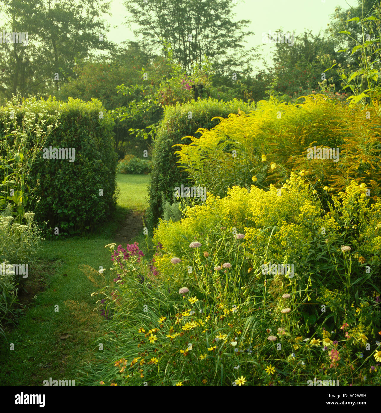Gap in hedge hi-res stock photography and images - Alamy
