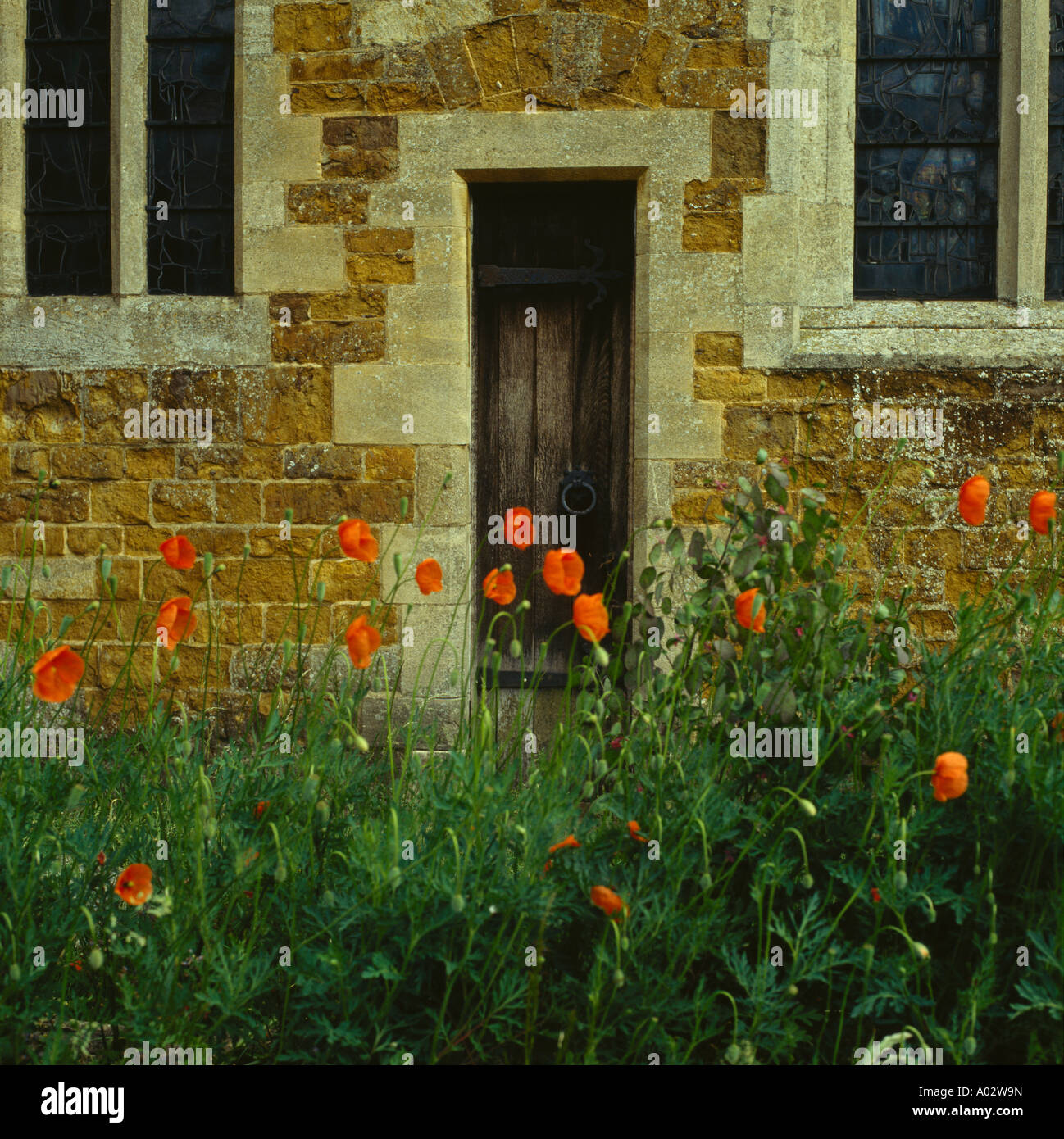 Field poppies by church wall Stock Photo - Alamy