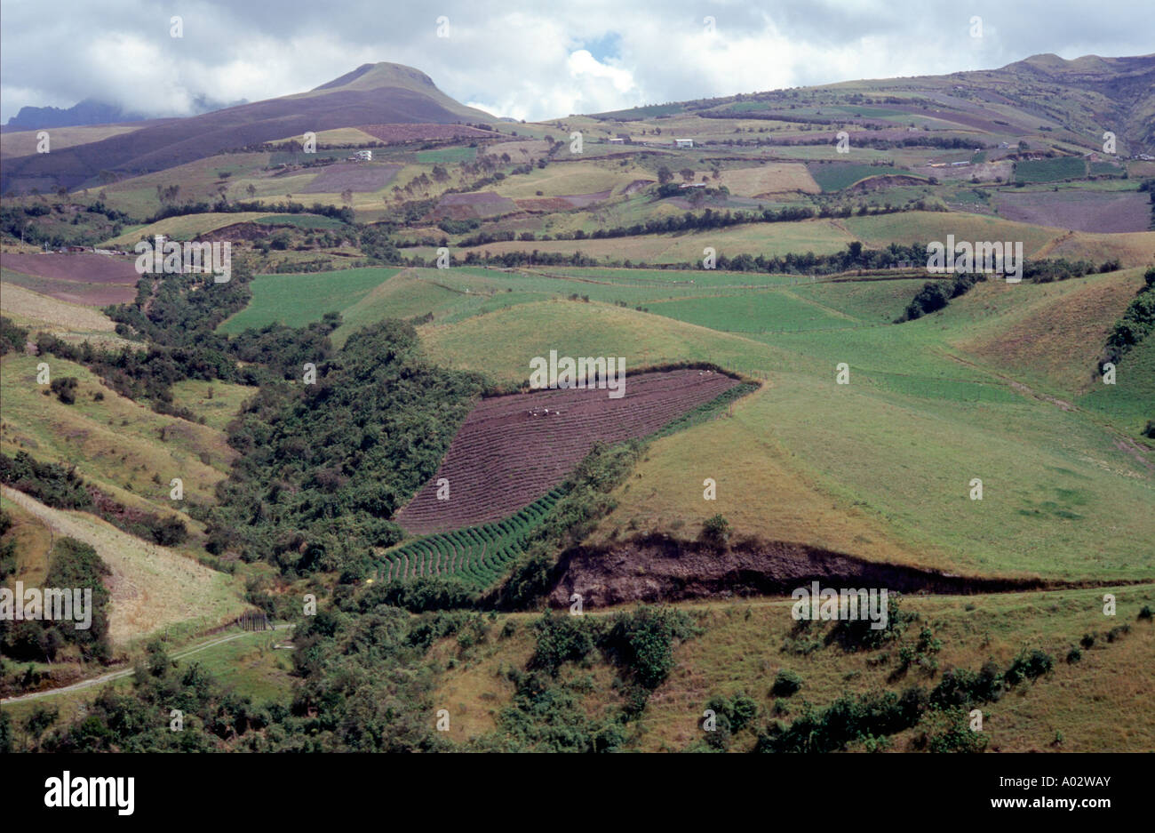 Agricultural lands near Quito, Andes, Ecuador, South America. Royalty ...