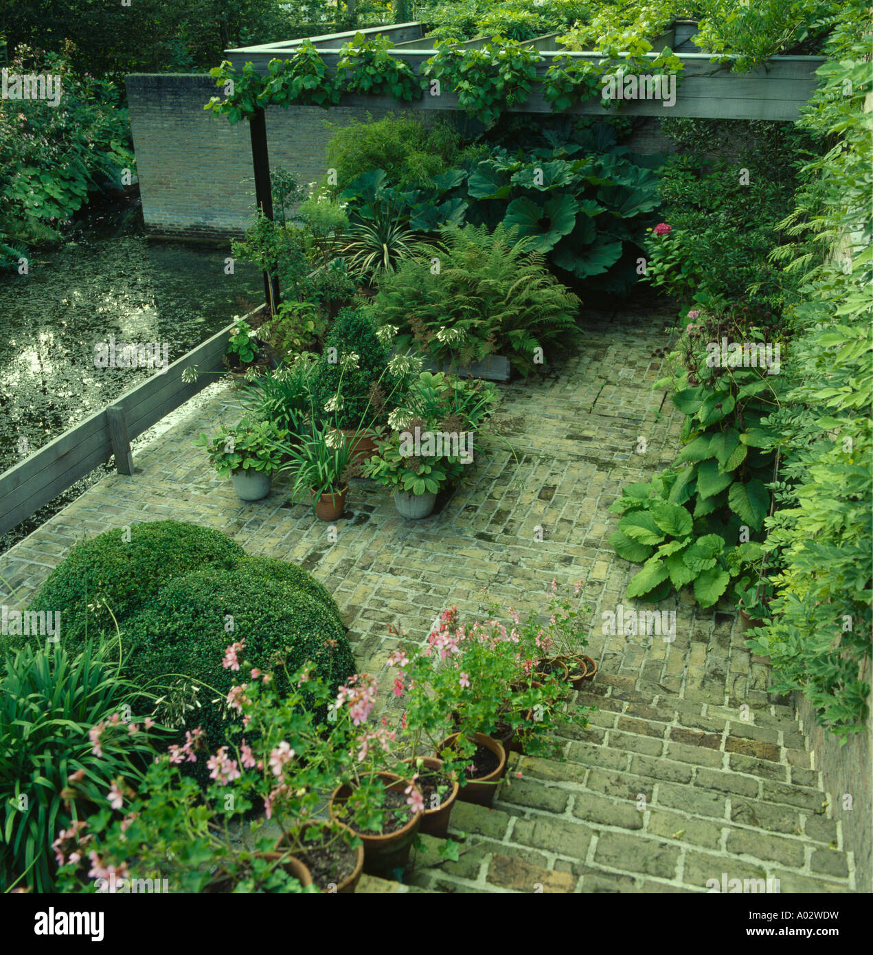 Aerial view of steps down to paved terrace with shrubs and small pool ...