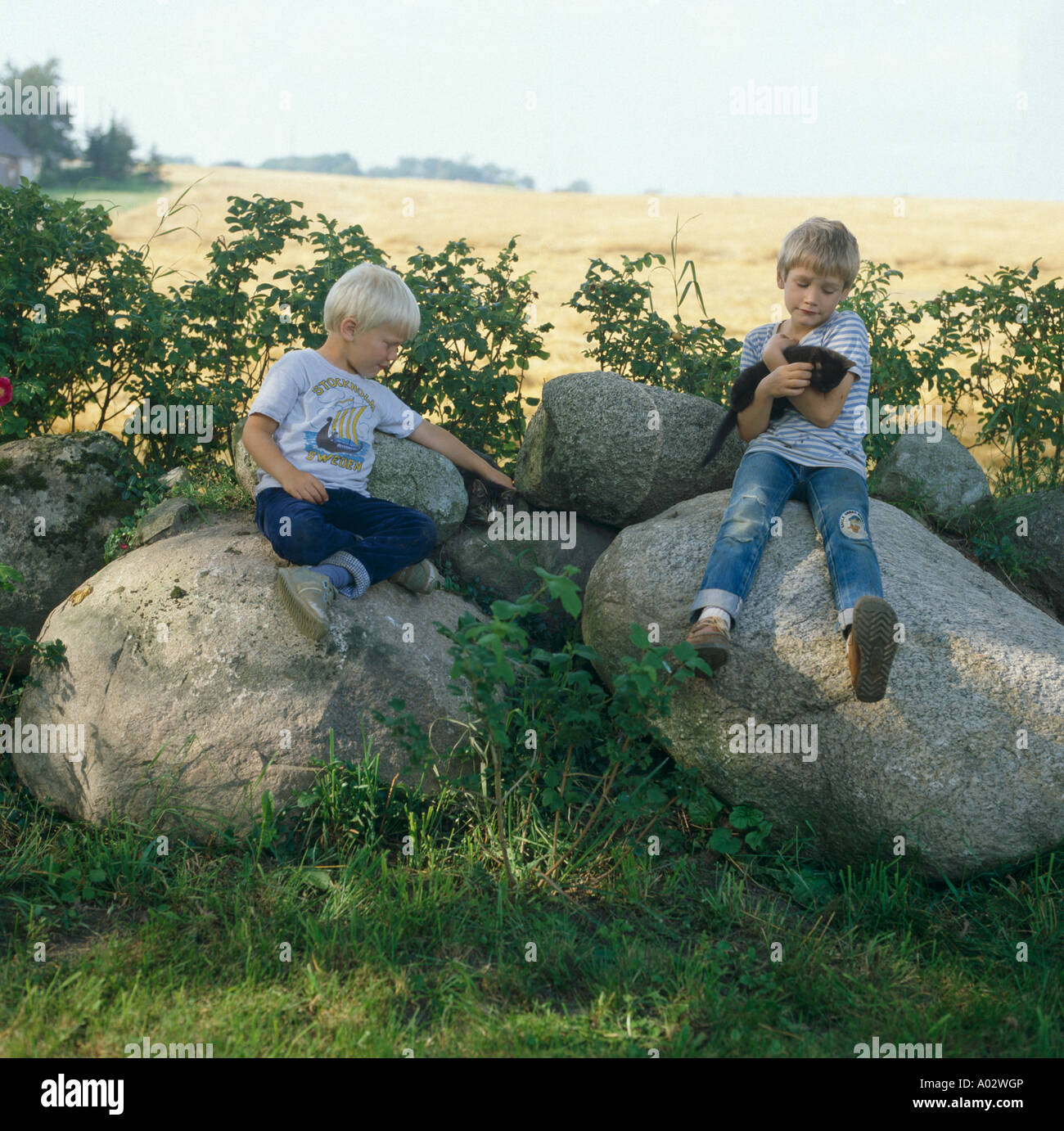 Small boy sitting on boulders hi-res stock photography and images - Alamy