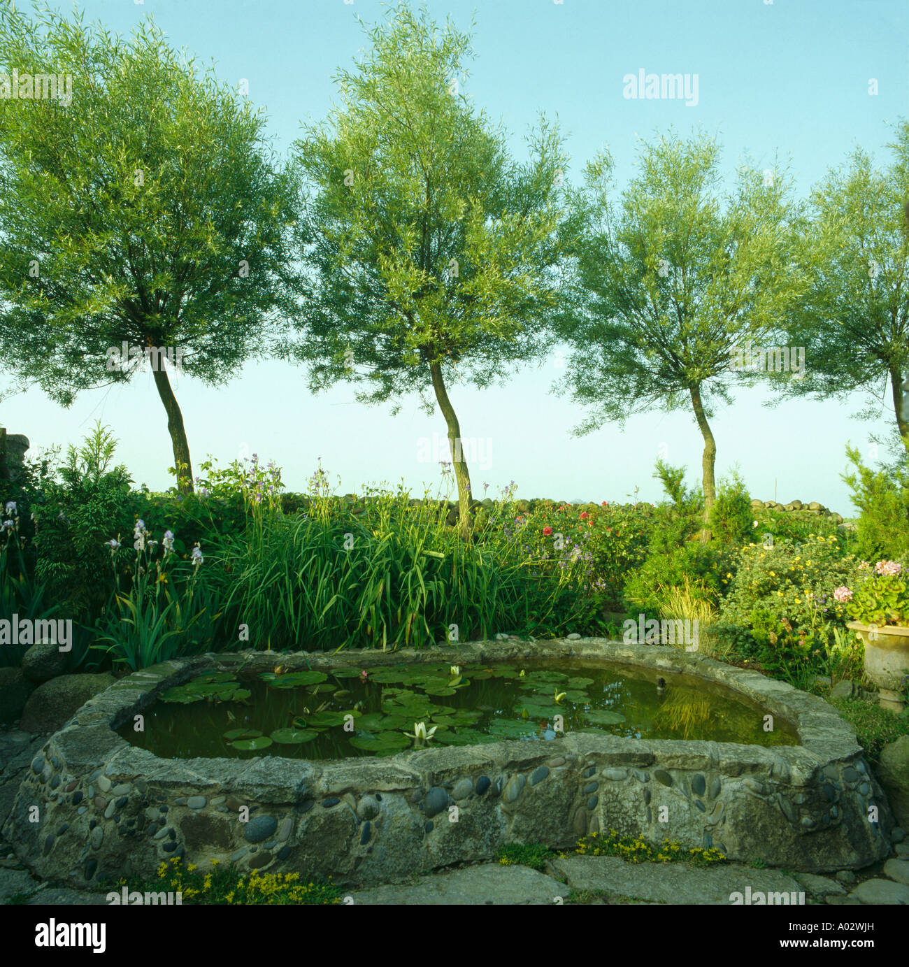 Willow pool hi-res stock photography and images - Alamy