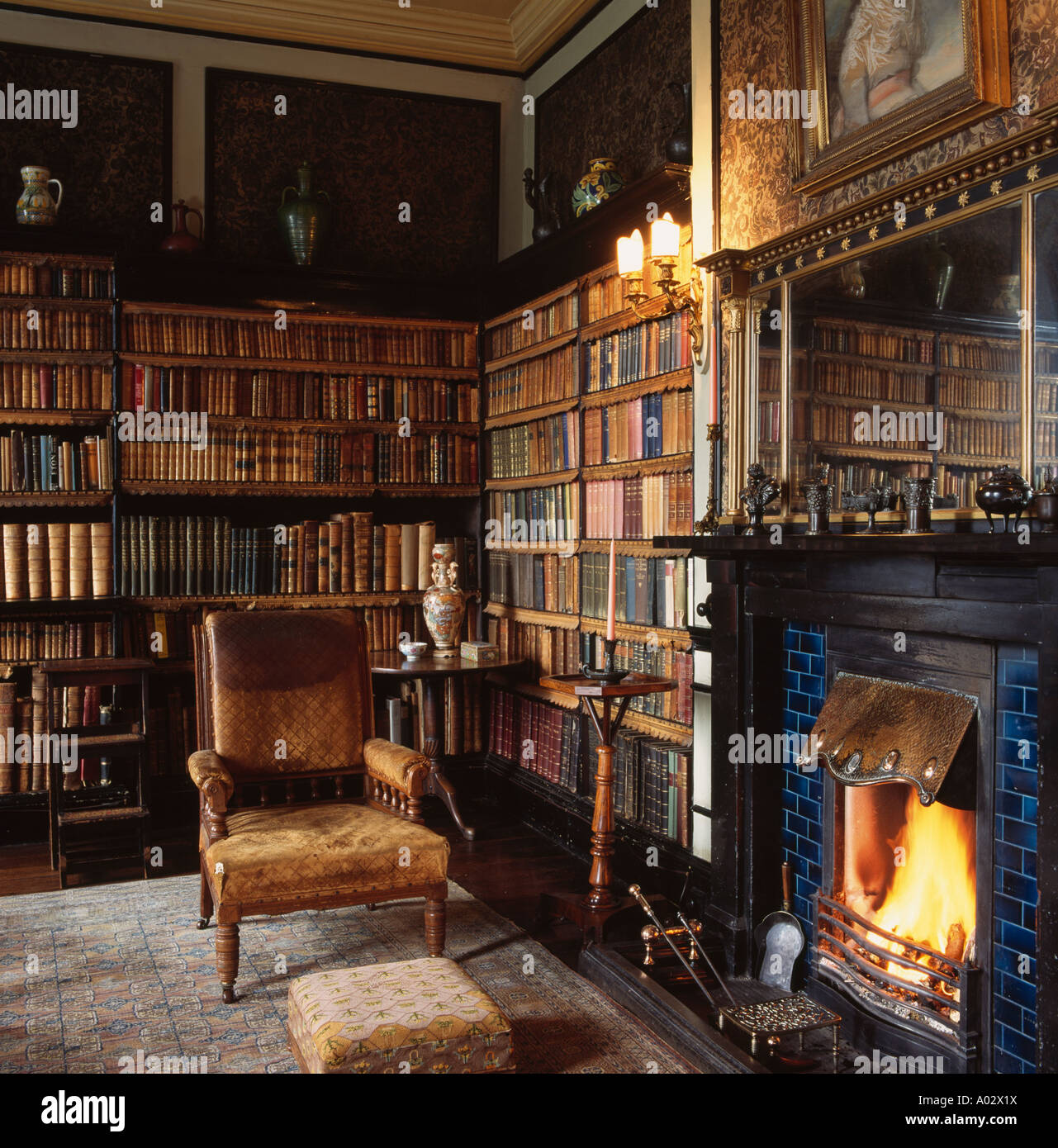 Mansion Fireplace Library