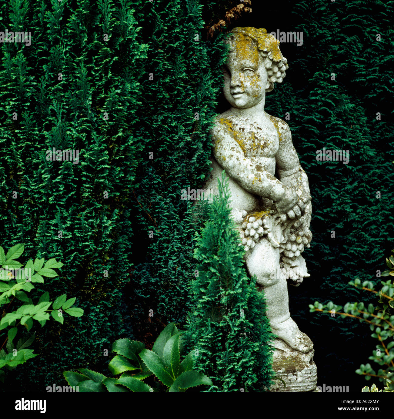 Close-up of mossy statue of child Stock Photo - Alamy