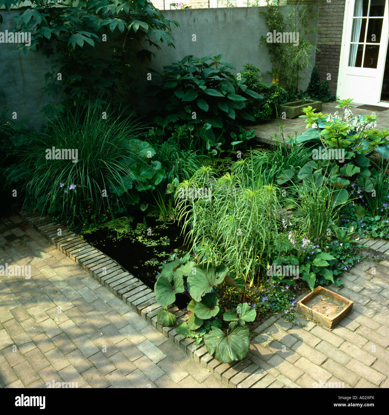 Small paved courtyard with pond Stock Photo - Alamy