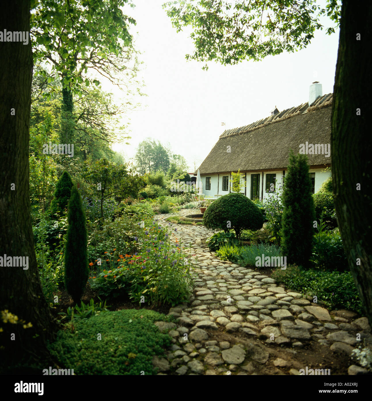 Cobble-paved path and clipped shrubs and trees in garden of white ...
