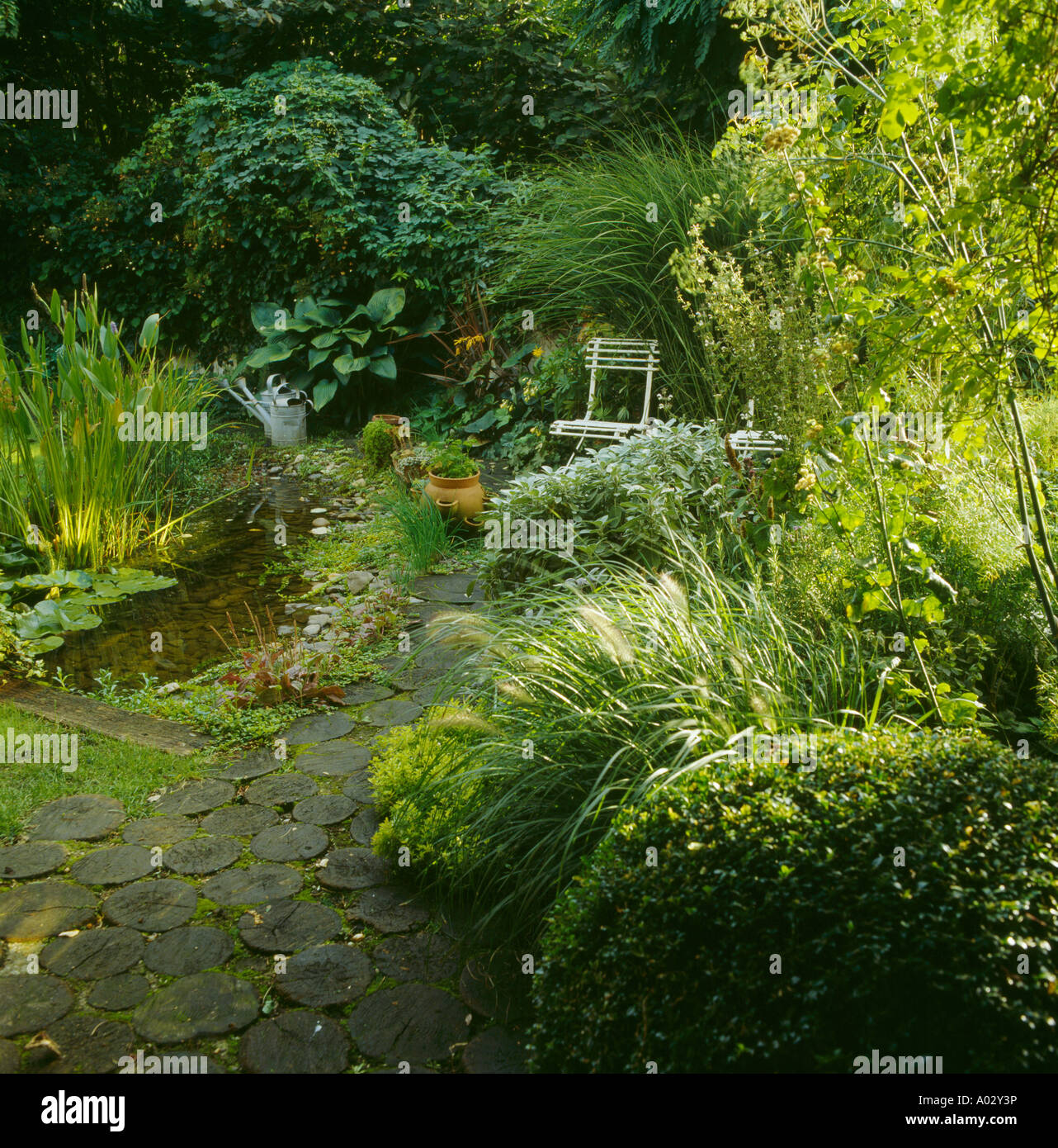 Lush planting around small pond in country garden Stock Photo - Alamy