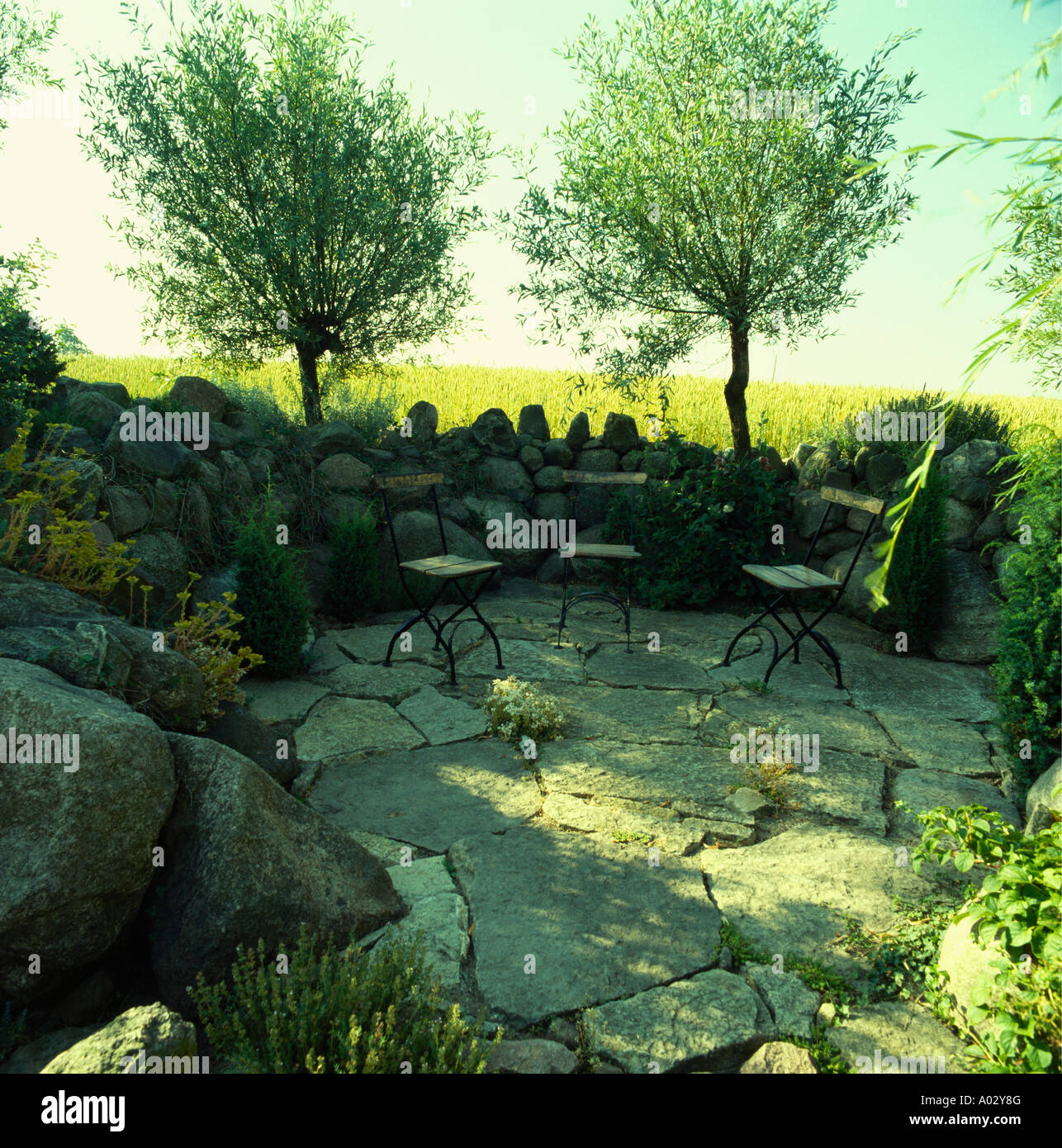 Small willow trees by natural stone patio with furniture in country ...