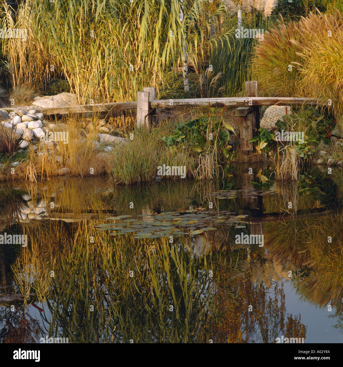 Rustic wooden bridge over hi-res stock photography and images - Alamy