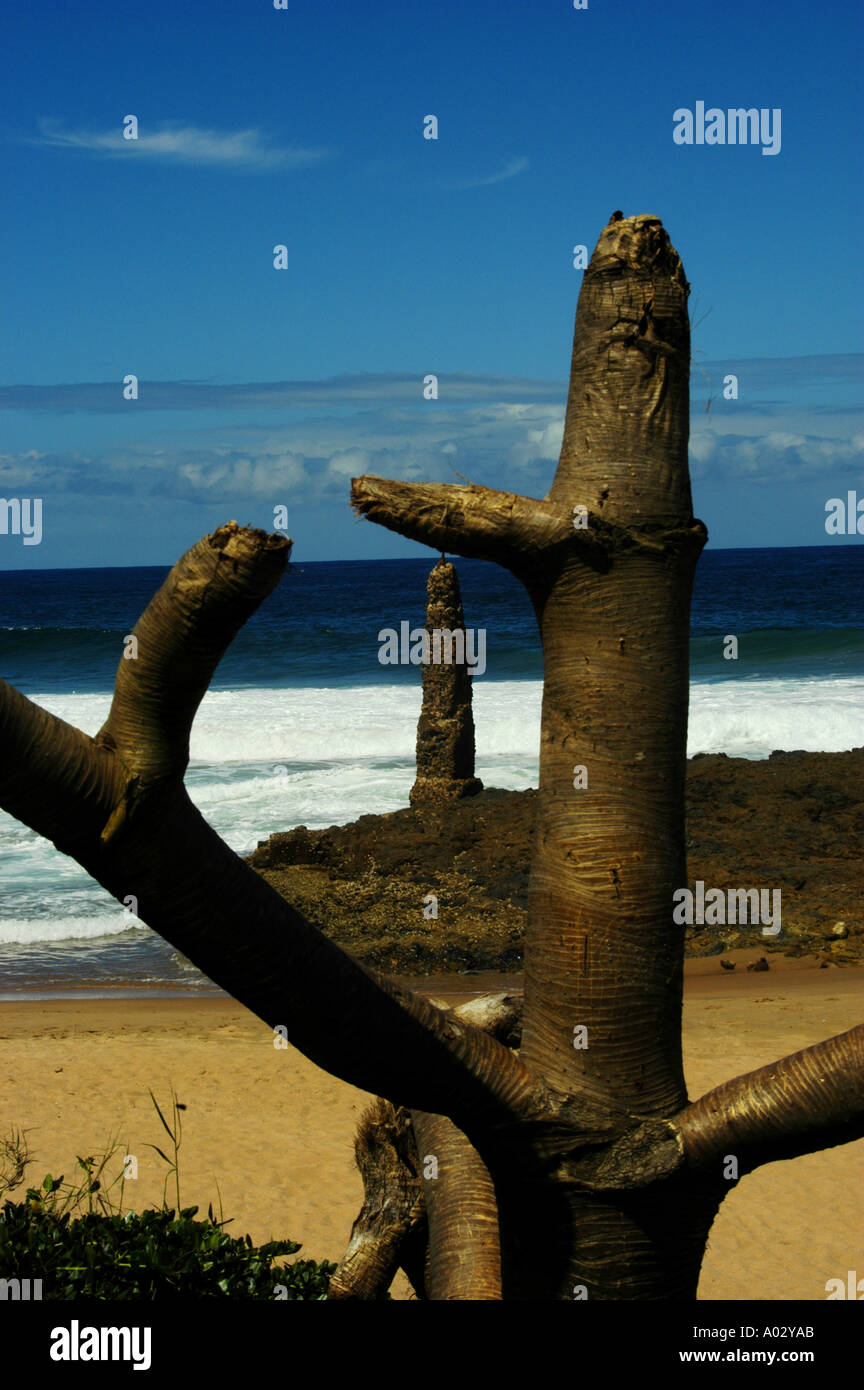 Salt rock beach natal hi-res stock photography and images - Alamy